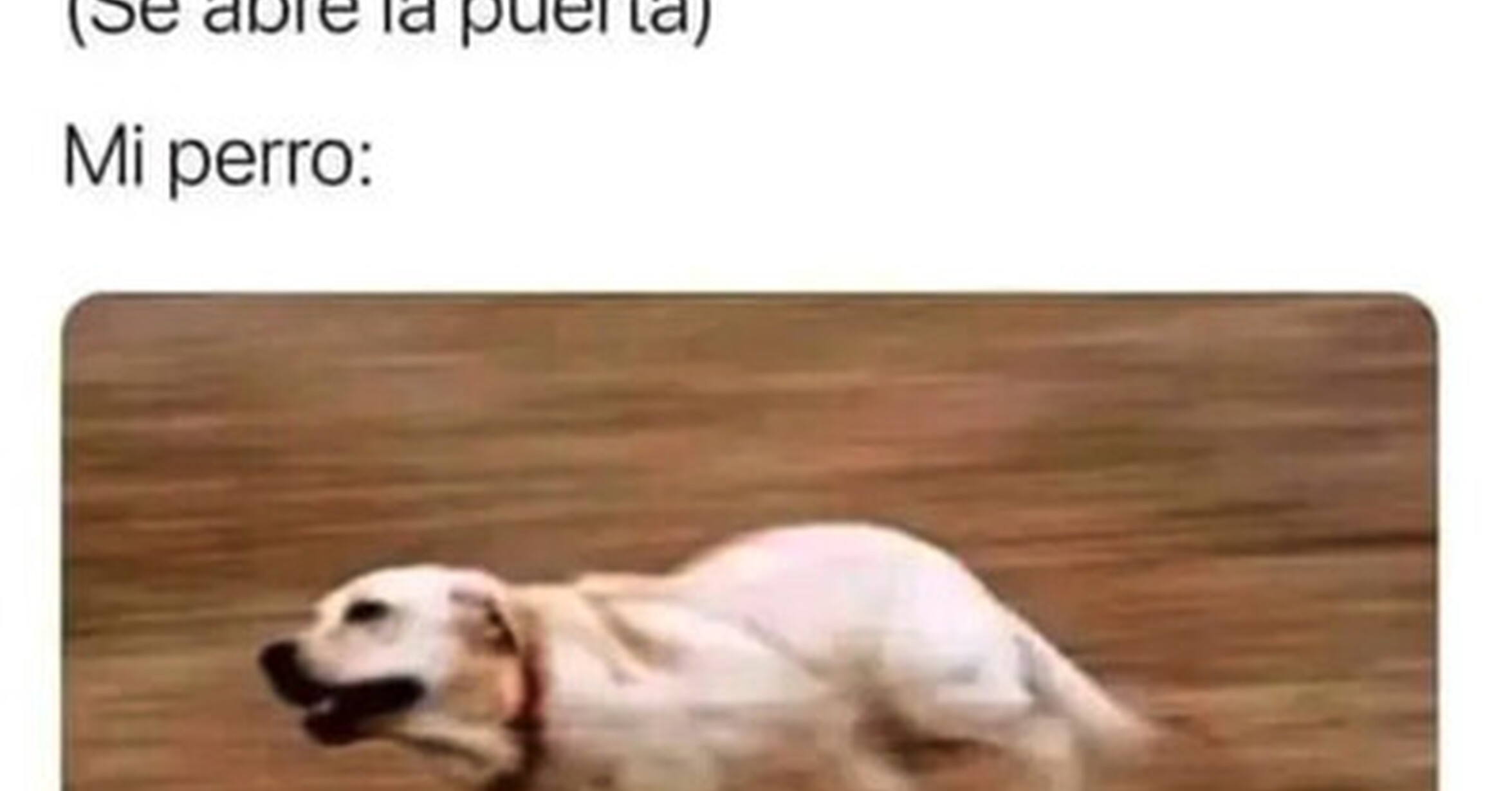 Cuánto cabrón / Siempre intenta huir