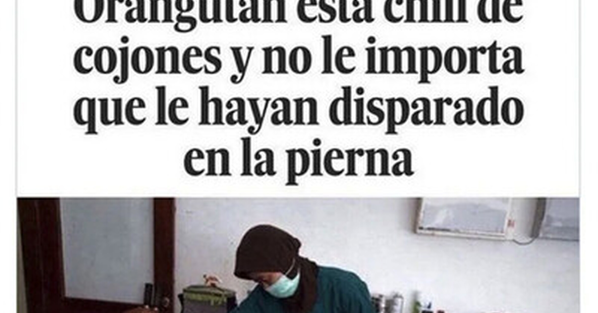 Cuánto cabrón / Chill de cojines