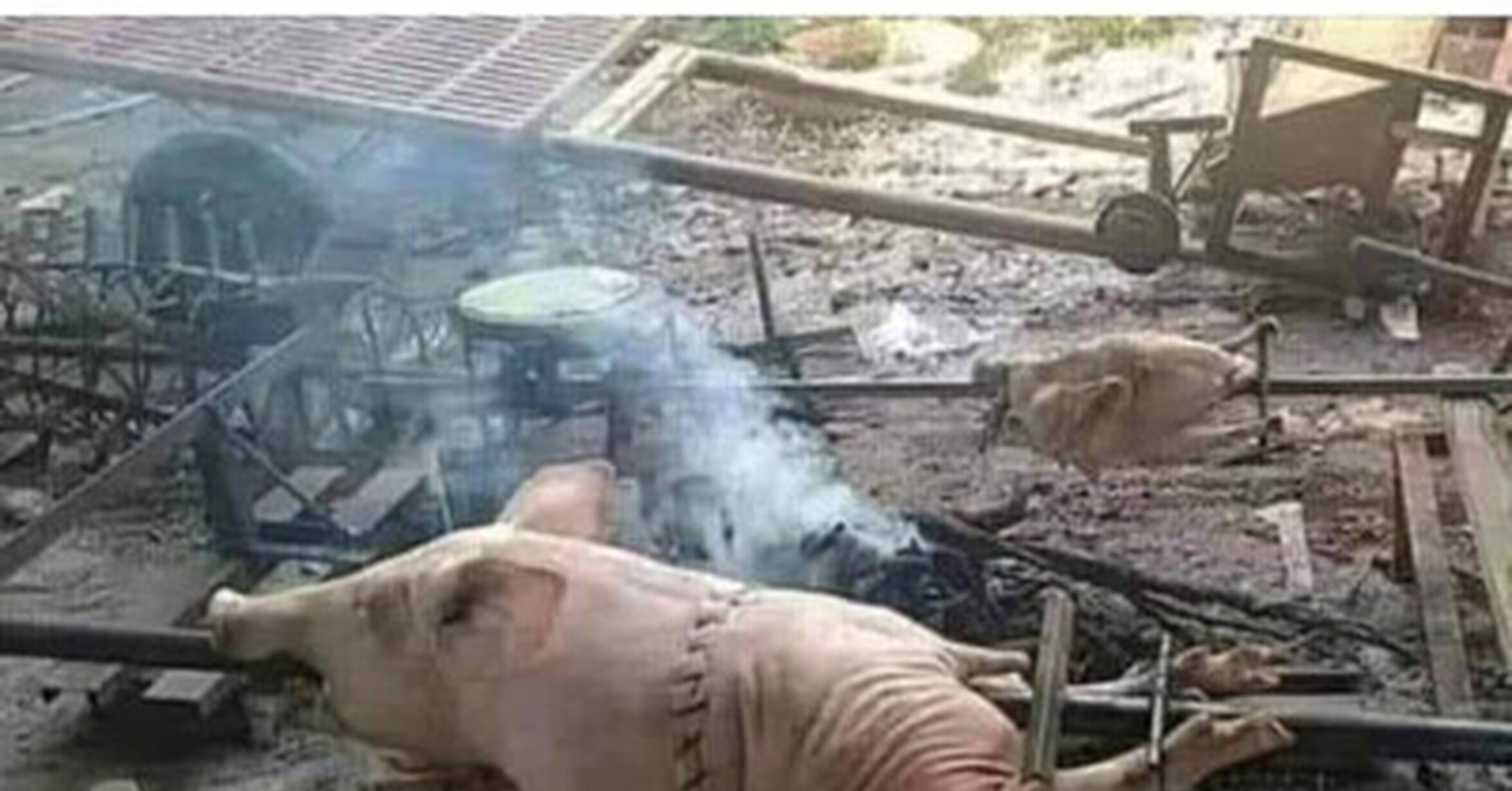 Cuánto cabrón / Optimizando la barbacoa