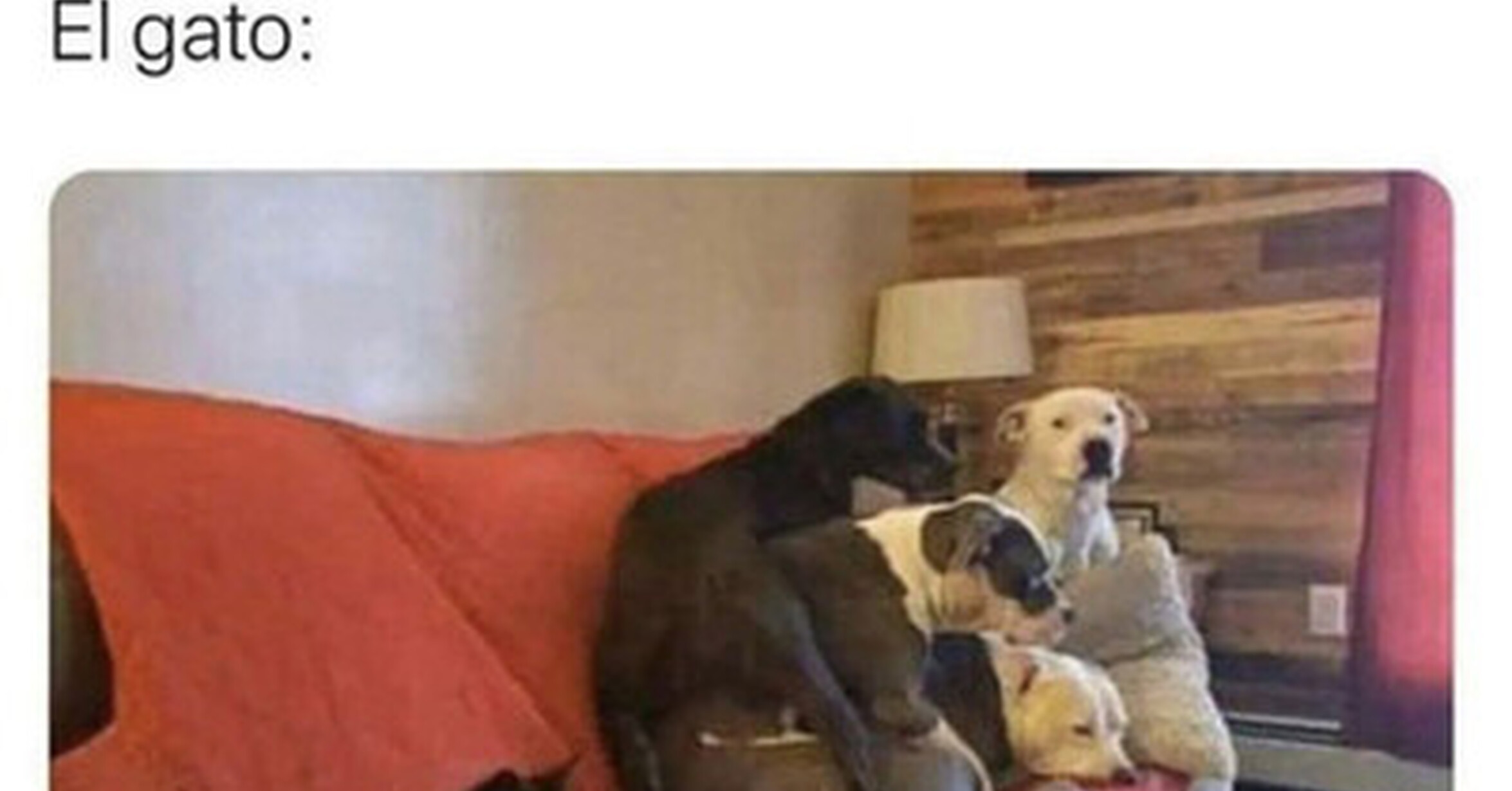 Cuánto cabrón / El animal que más respeto impone del mundo