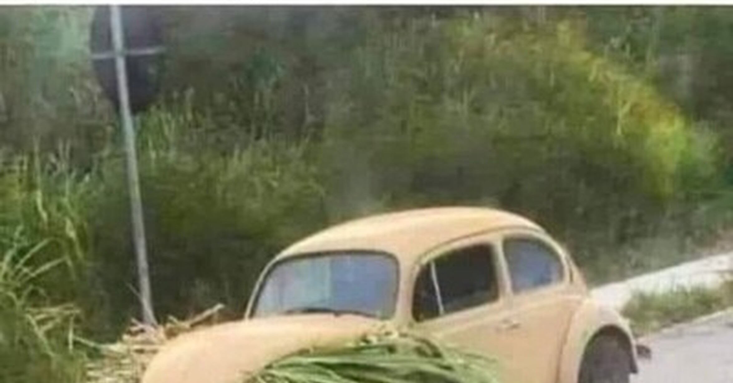 Cuánto cabrón / Alejen ese engendro de mí