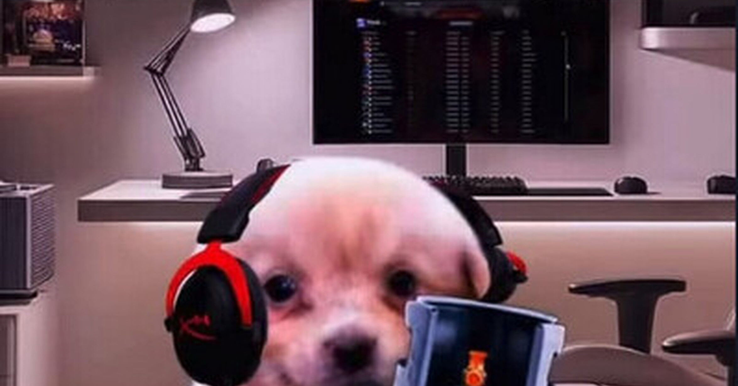 Cuánto cabrón / Cuando roban a un tipo que ya perdió demasiado