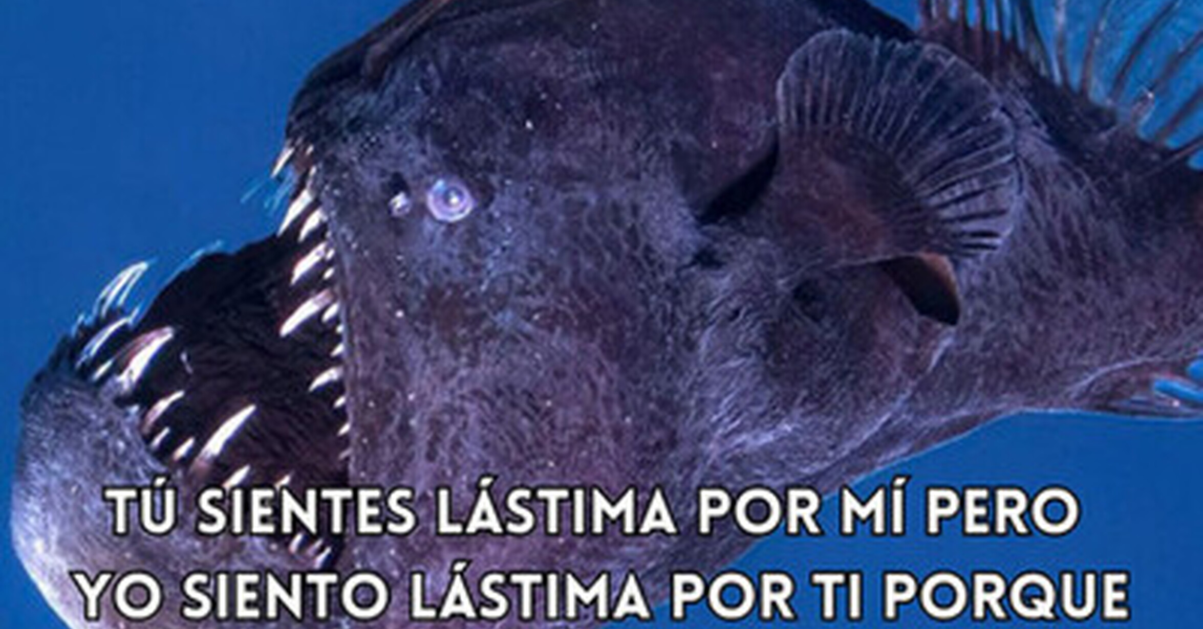 Cuánto cabrón / El pez abisal como modo de vida