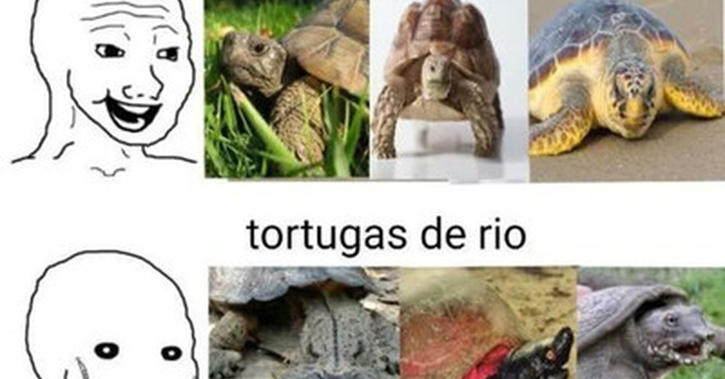 Cuánto cabrón / ¿Qué animal del averno es ese?