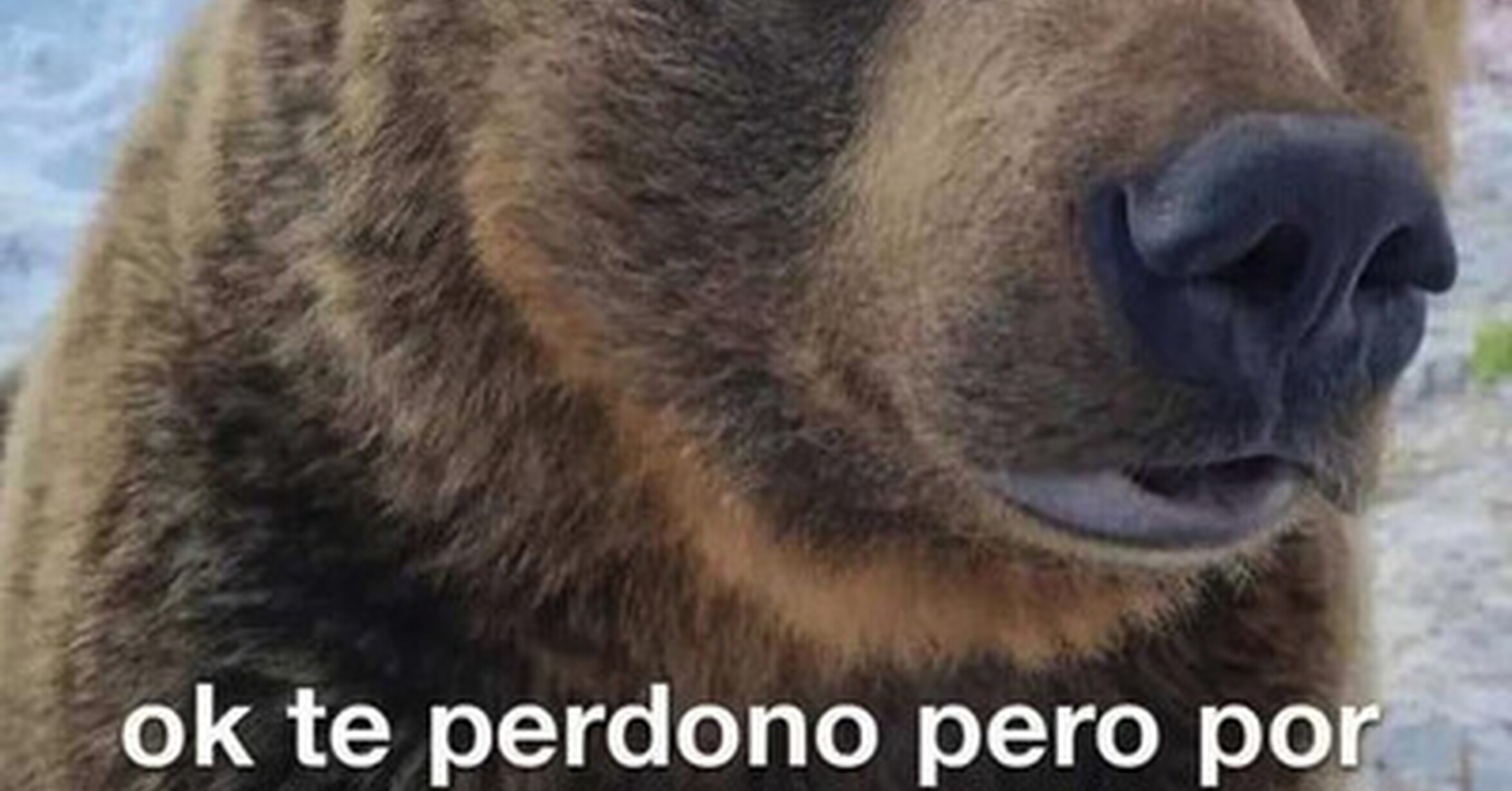 Cuánto cabrón / No soy oso rencoroso