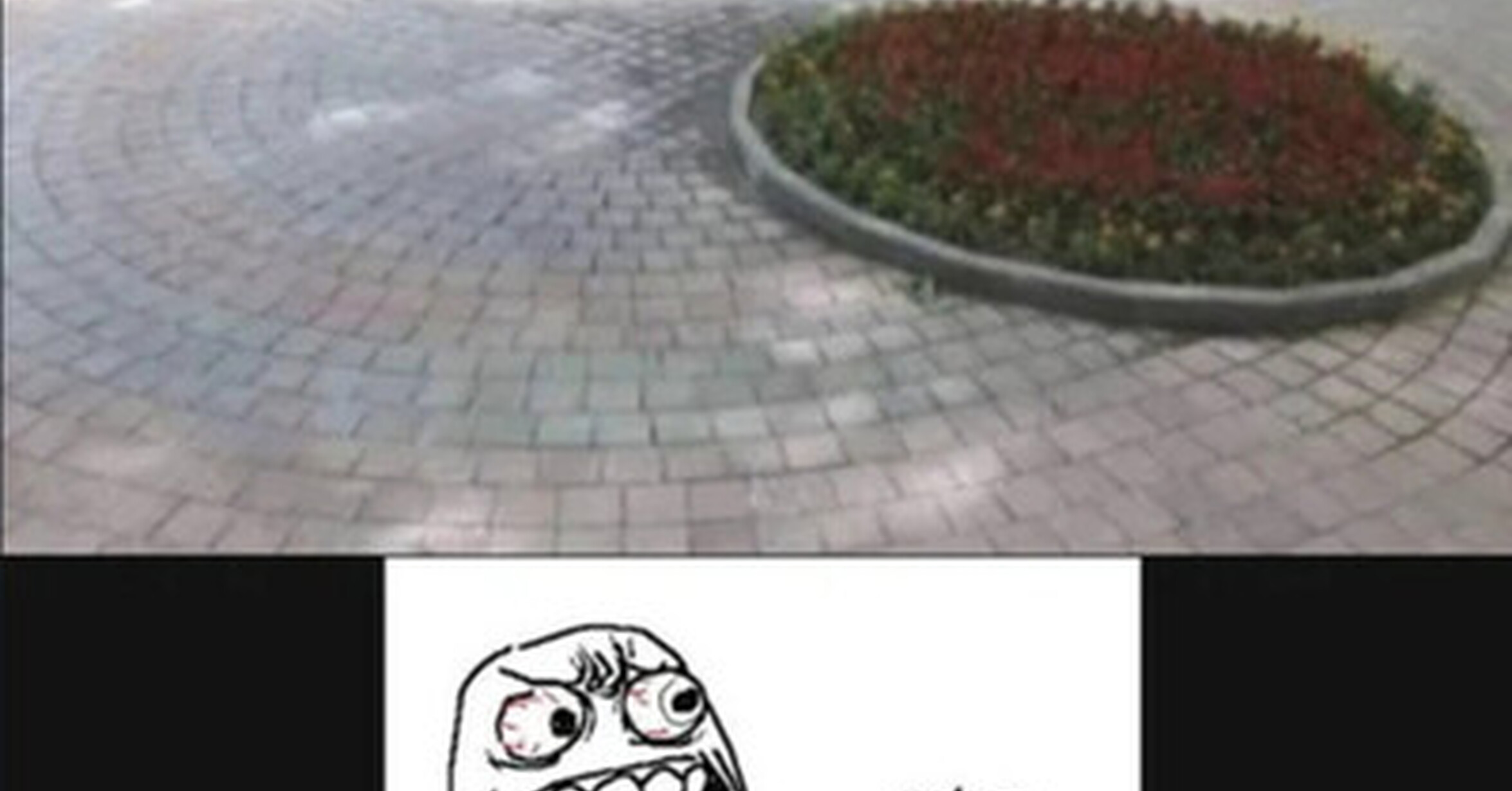 Cuánto cabrón / Esta plazoleta me da TOC