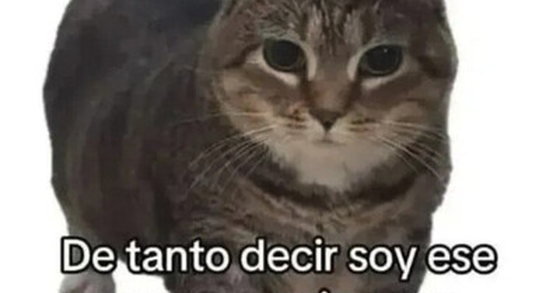 Cuánto cabrón / Soy ese