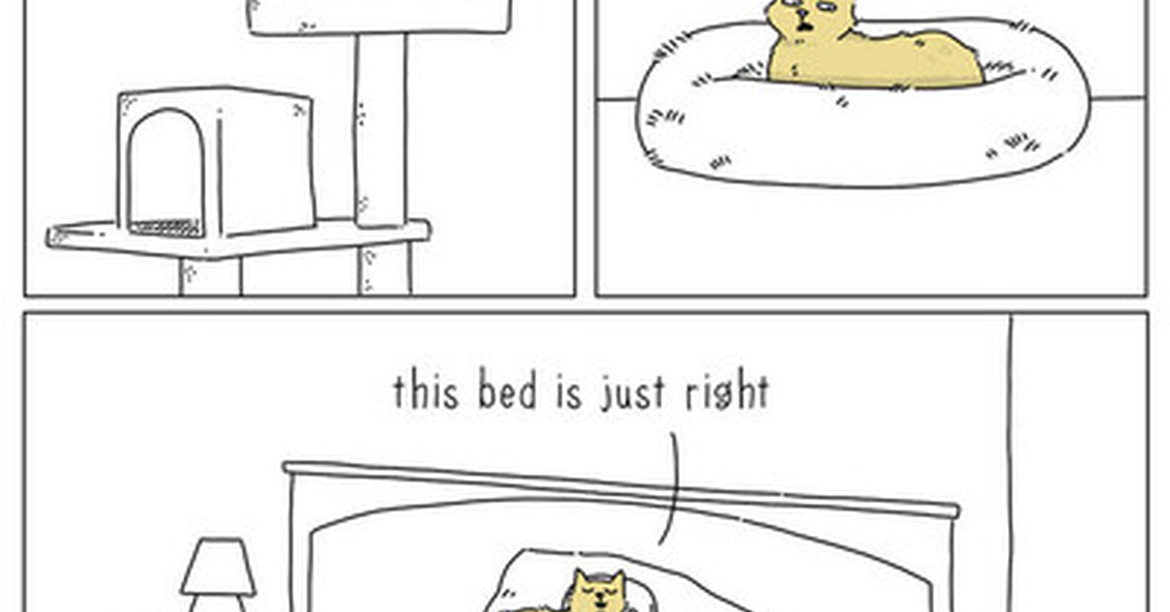 Cuánto cabrón / La comodidad de un gato