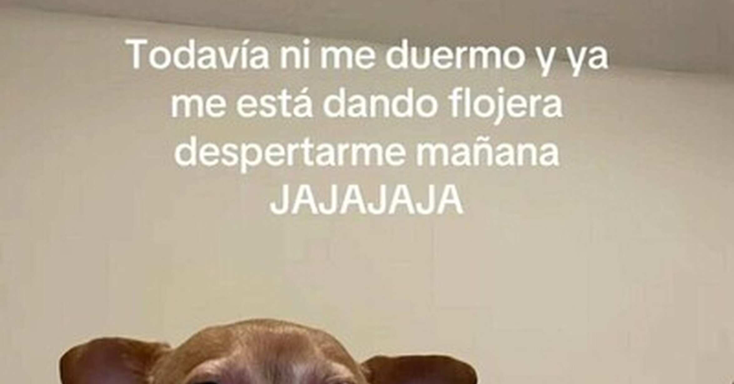 Cuánto cabrón / Que acabe ya la semana