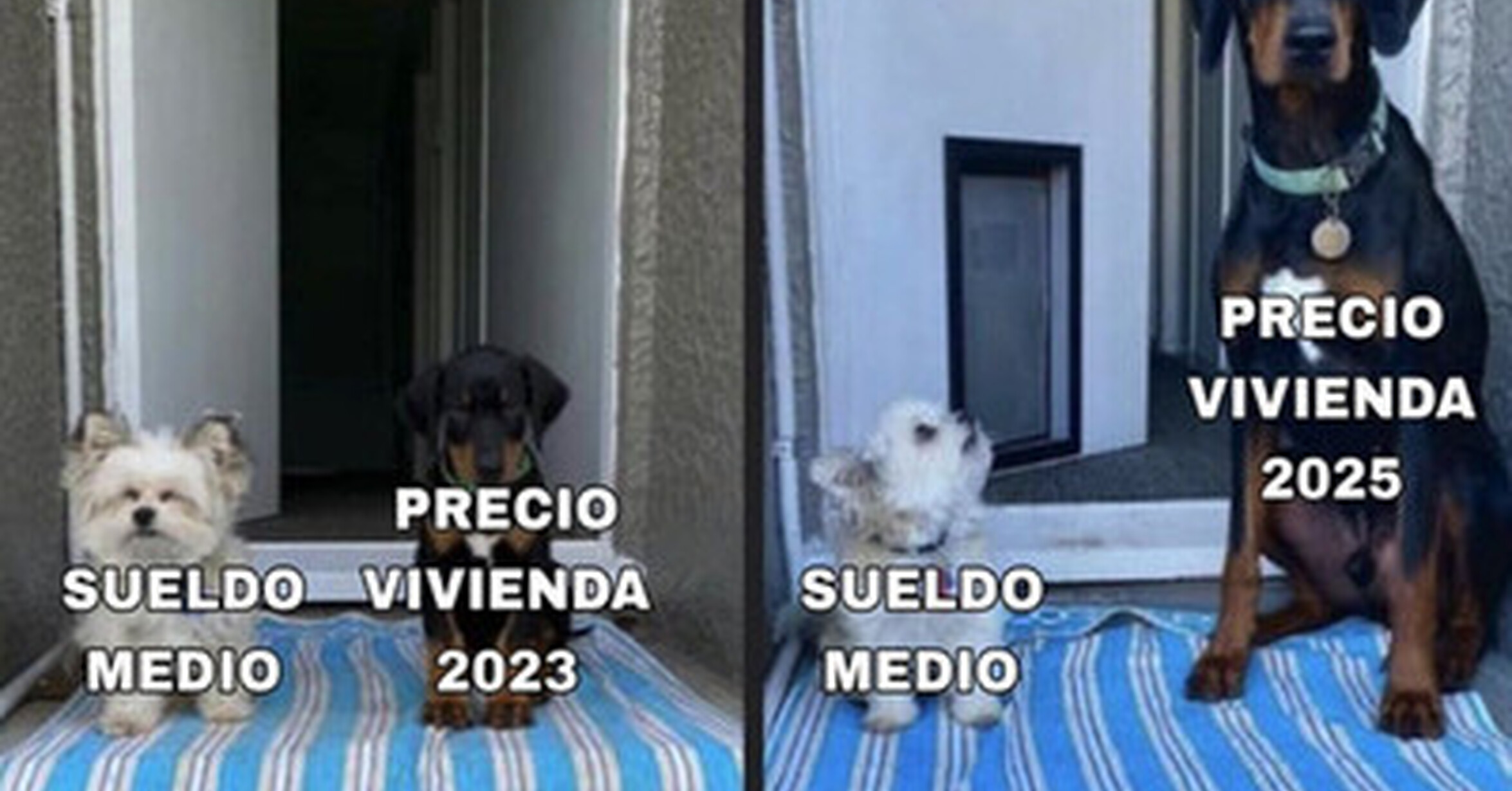 Cuánto cabrón / Esta diferencia no es normal
