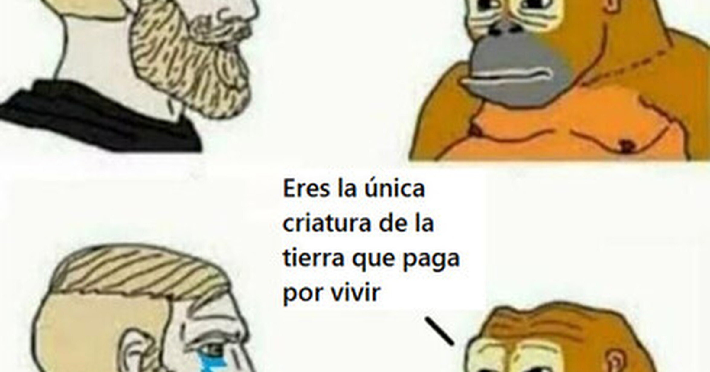 Cuánto cabrón / ¿Quién es el animal tonto?