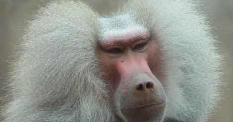 ¡Cuánta razón! / SONRÍE Y ASIENTE