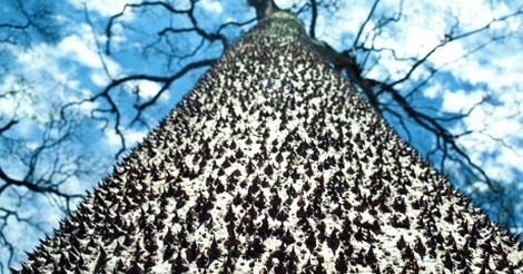 ¡Cuánta razón! / OCHOÓ