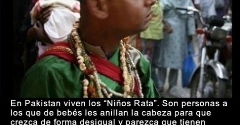¡Cuánta razón! / NIÑOS RATA