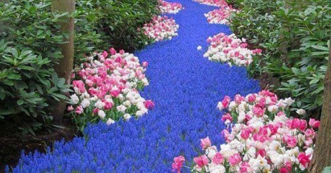 ¡Cuánta razón! / RÍO DE FLORES