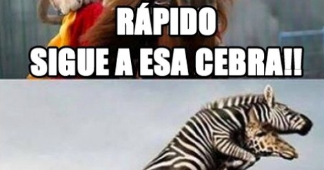 ¡Cuánta razón! / Esa cebra lo tiene crudo contra el león