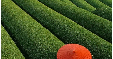 ¡Cuánta razón! / Es tan bonito que no parece real