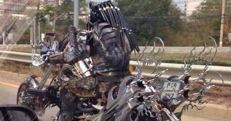 ¡Cuánta razón! / PREDATOR