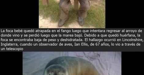 ¡Cuánta razón! / ESTAR MÁS PERDIDO