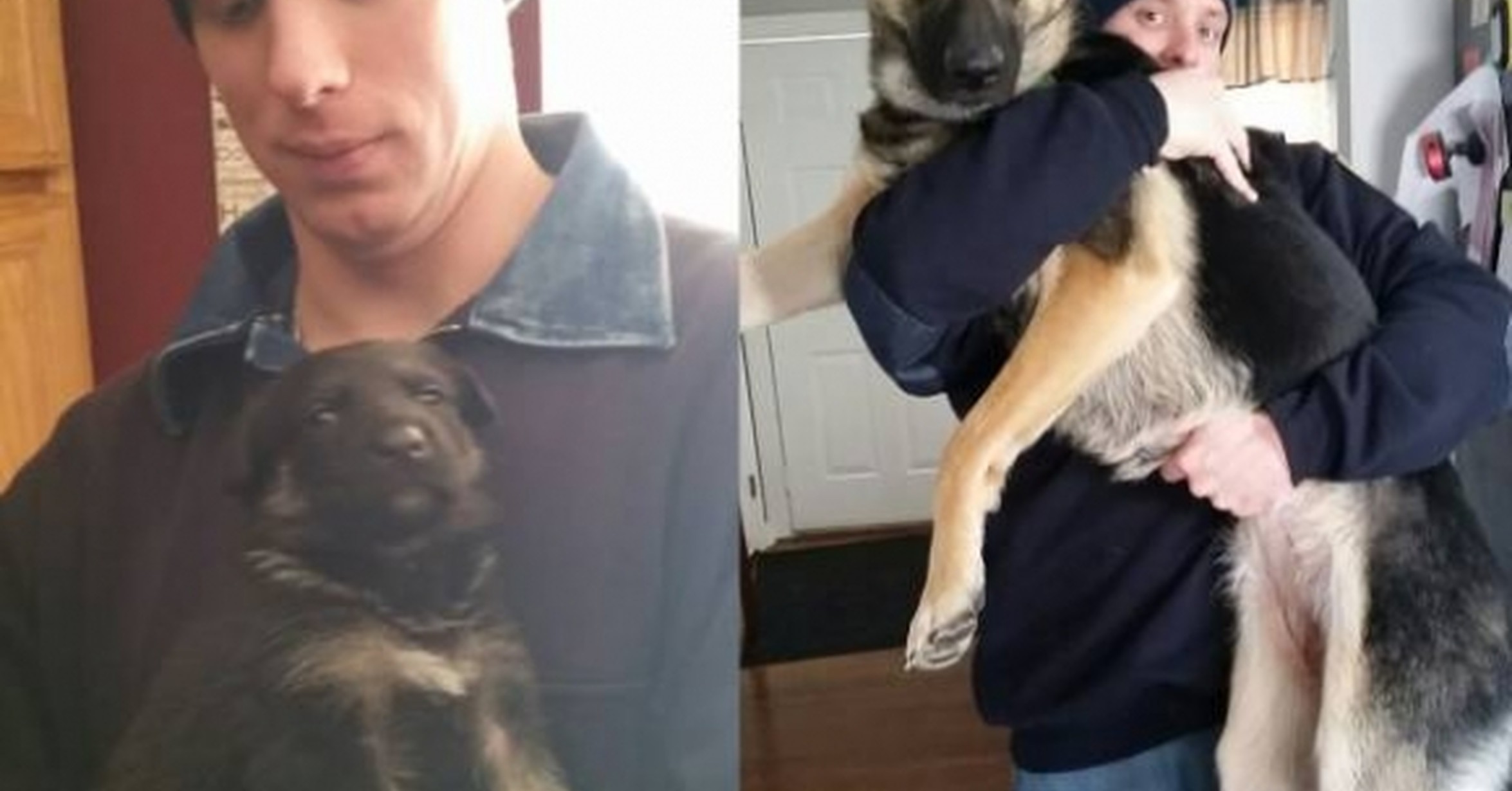 ¡Cuánta razón! / De perrito a perraco a cero coma...