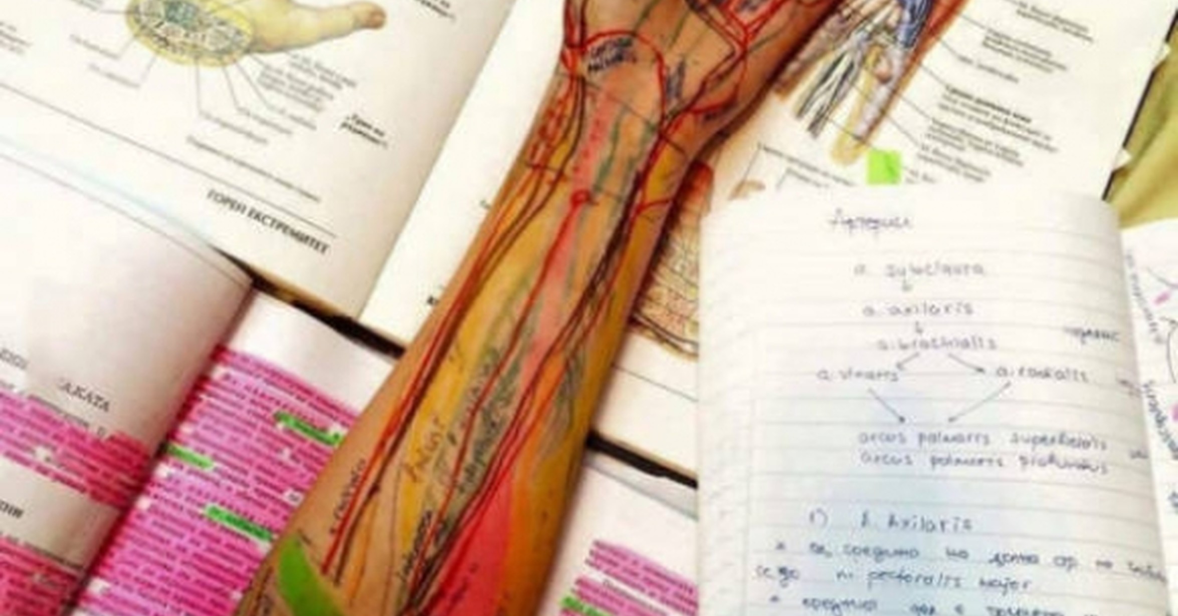 ¡Cuánta razón! / ¿Vosotros qué hacéis cuando os aburrís de estudiar?