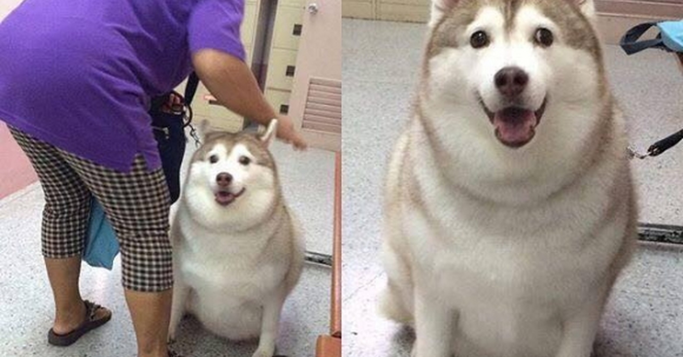 ¡Cuánta razón! / Vale, no es sano, pero es muy adorable y achuchable