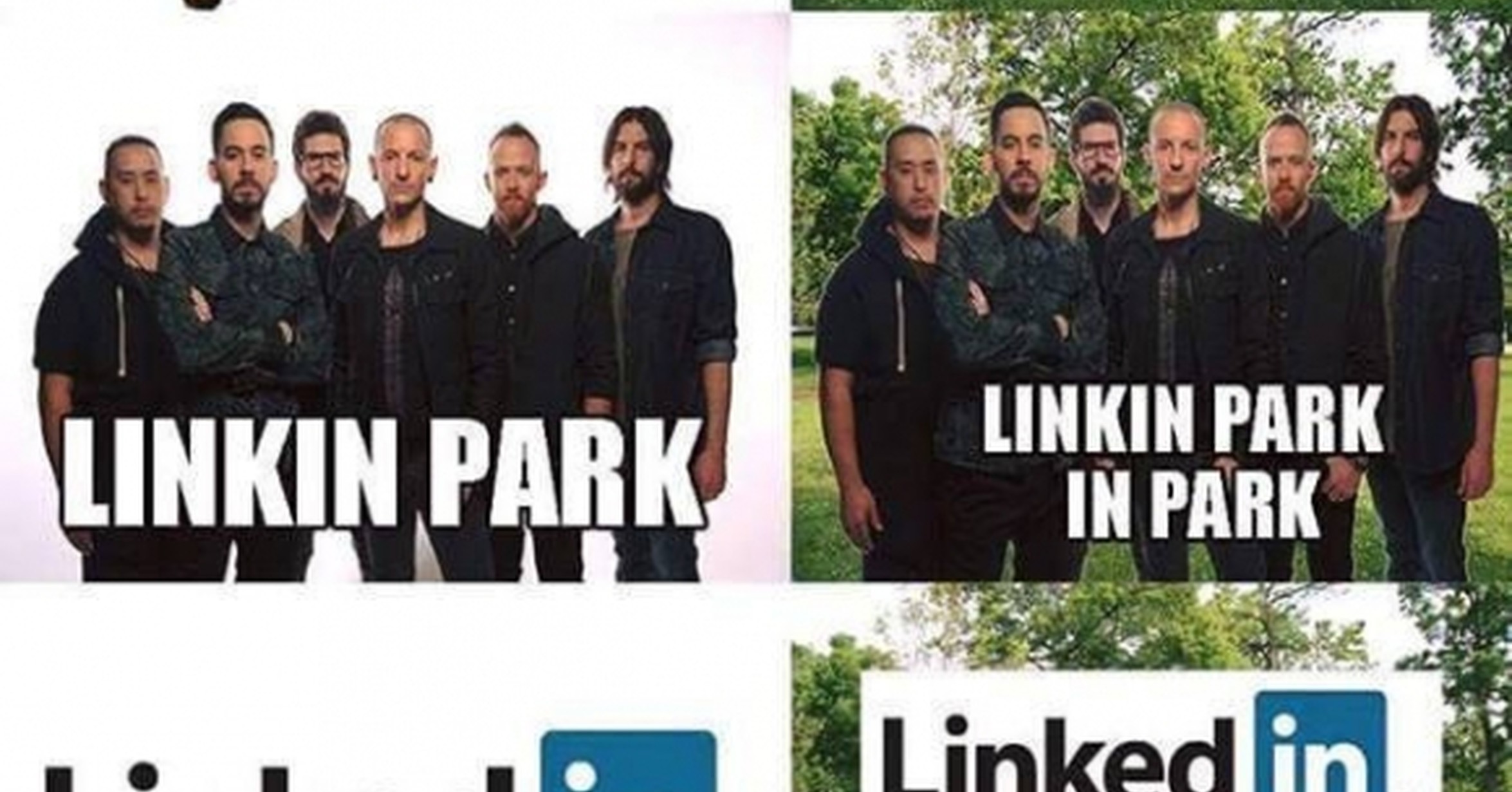 ¡Cuánta razón! / Linkedin link in kedin park linkin... Ay, mira, me rindo