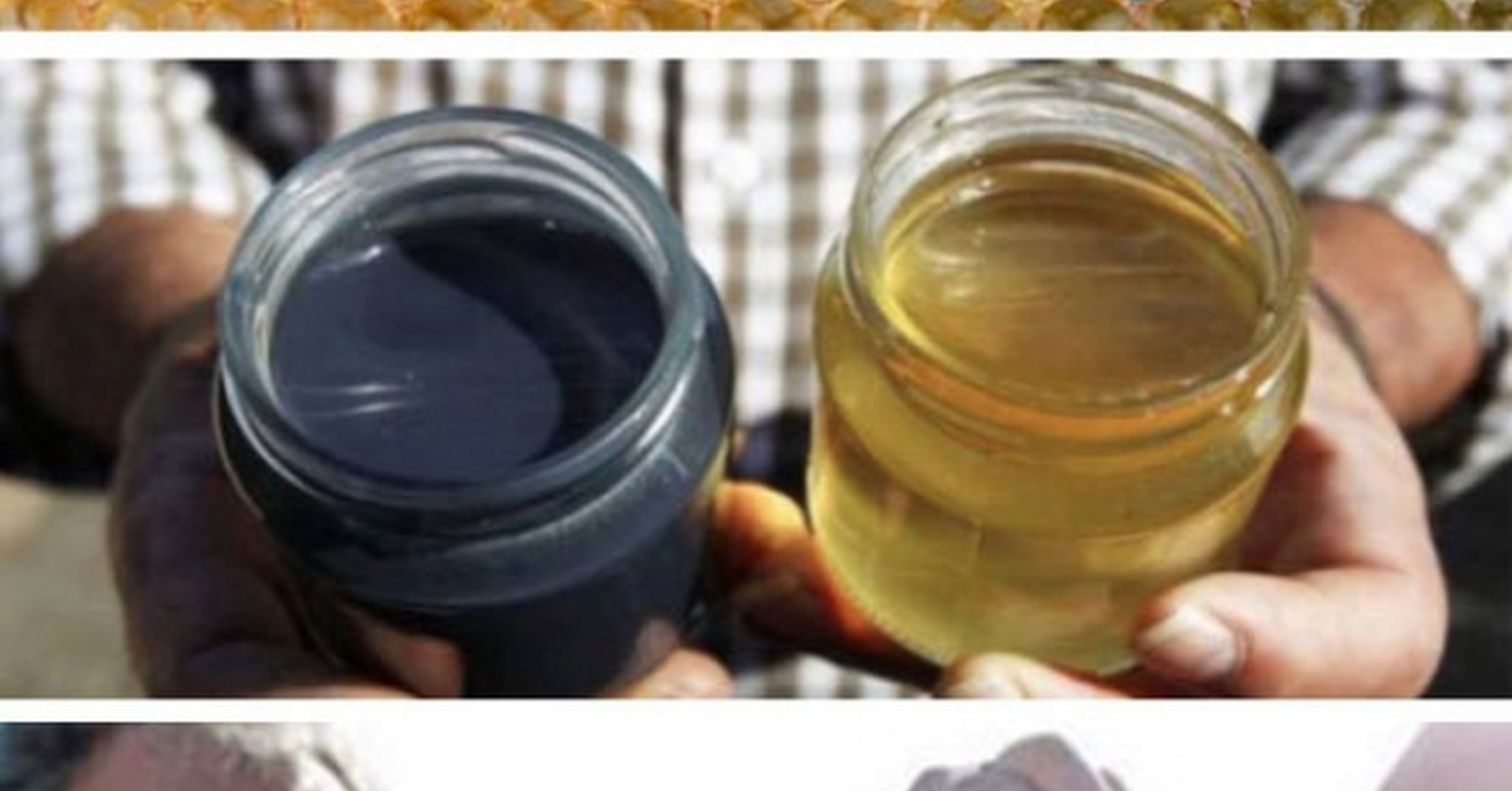 ¡Cuánta razón! / ¿Miel azul?