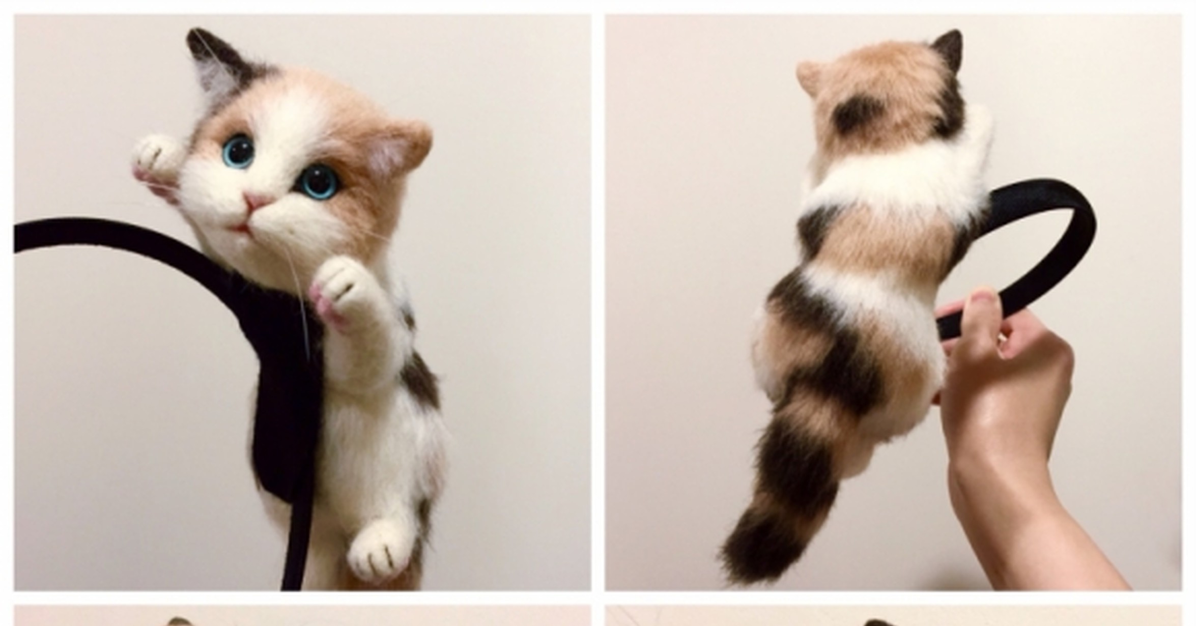 ¡Cuánta razón! / ¿AMANTE DE LOS GATOS?