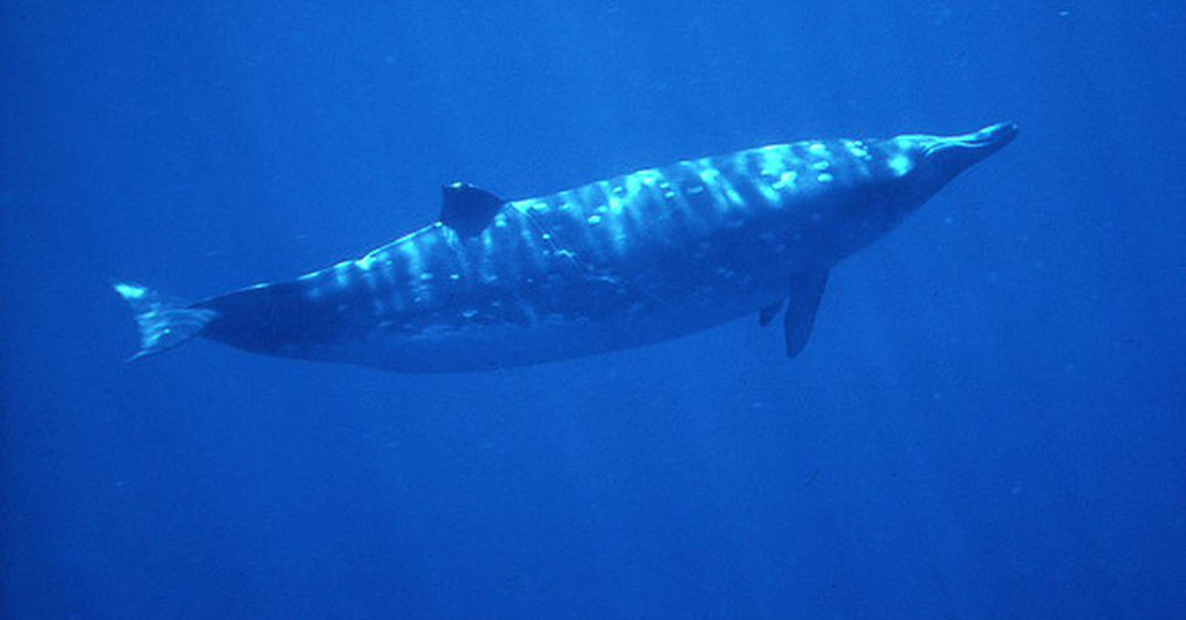 ¡Cuánta razón! / ZIFIO