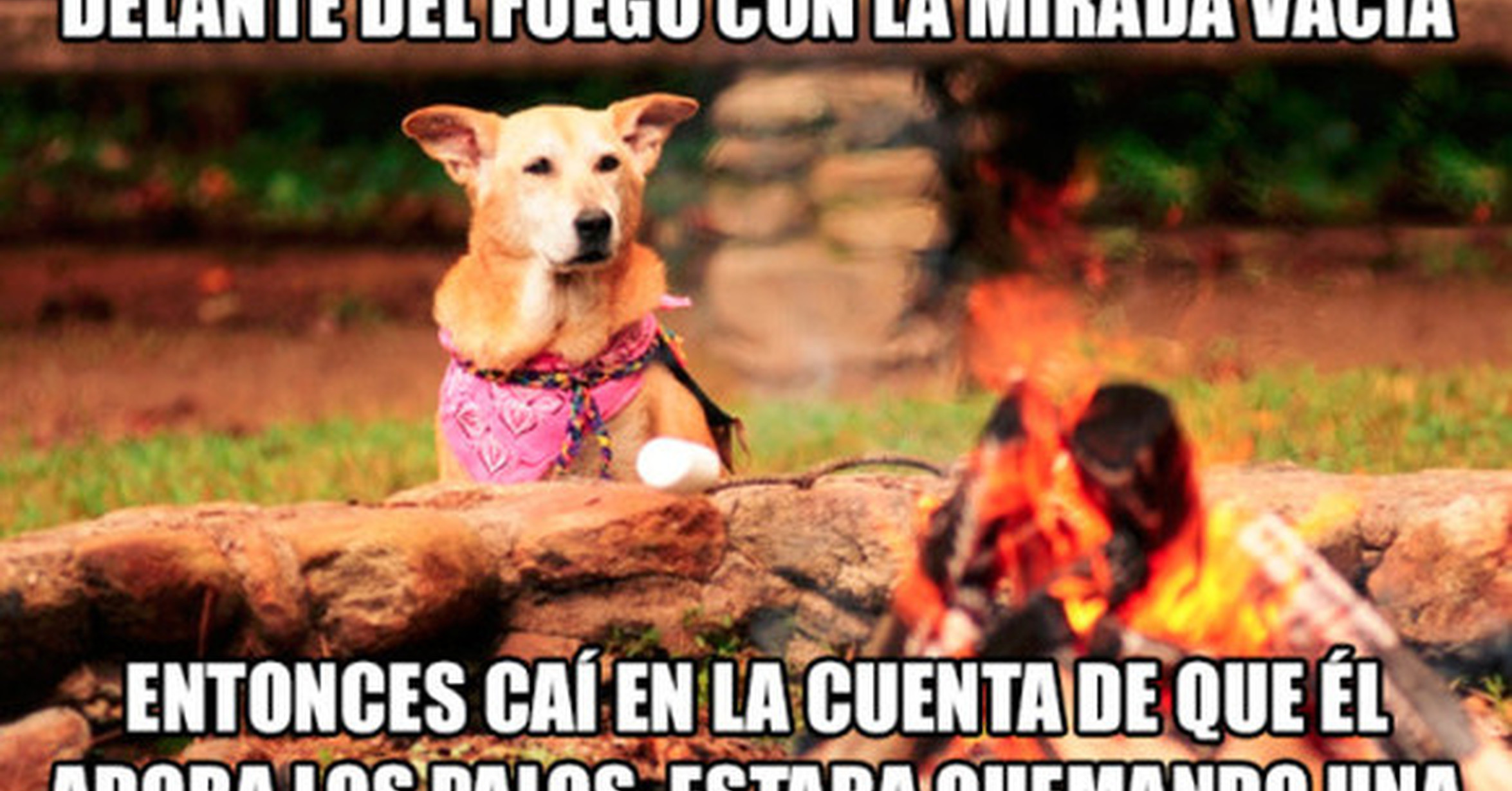 ¡Cuánta razón! / Pobre Timmy