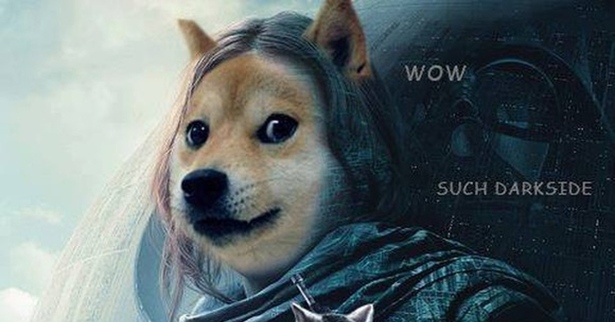 ¡Cuánta razón! / STAR WARS DOGUE ONE