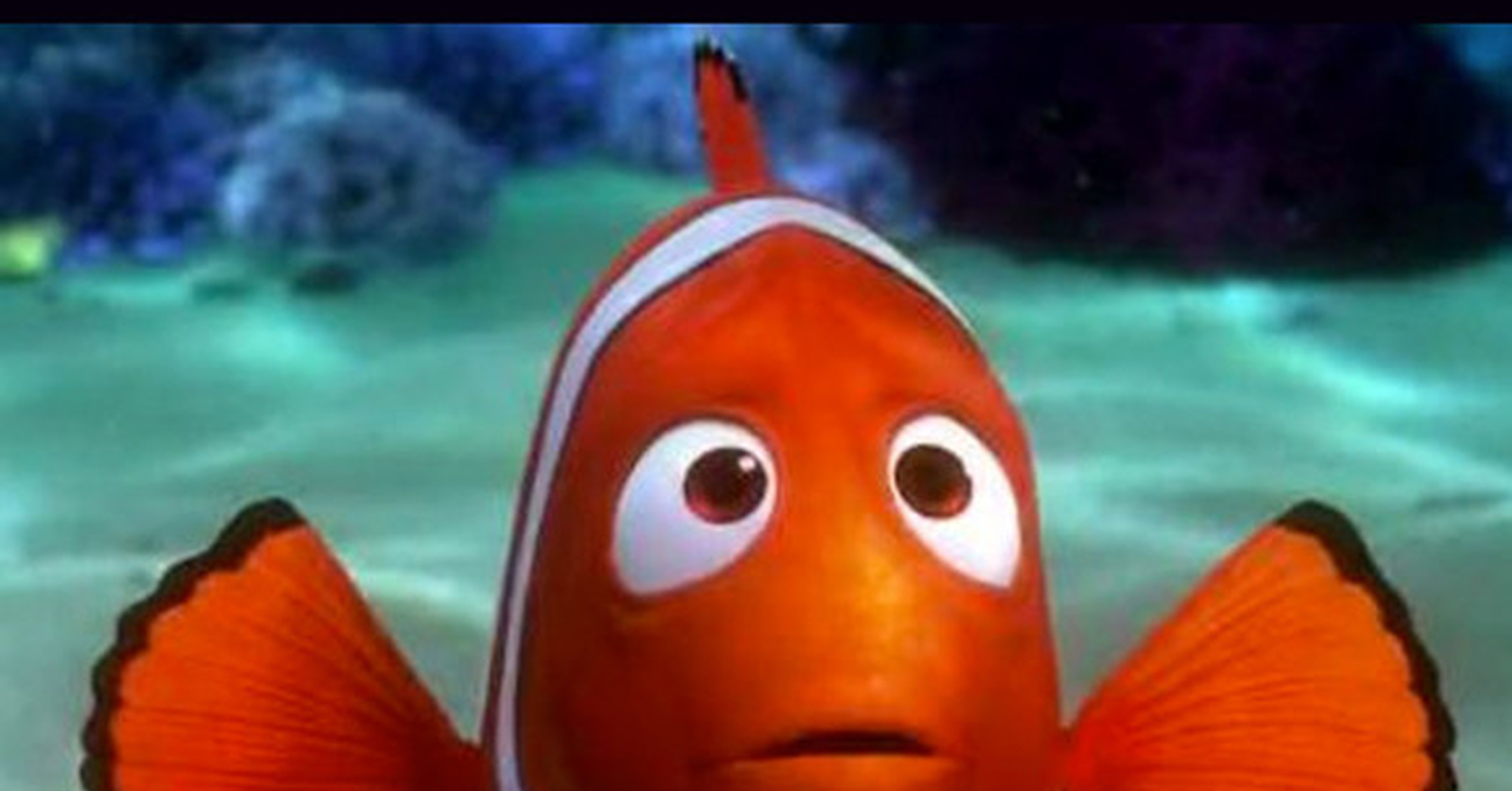¡Cuánta razón! / Hay un error garrafal en "Buscando a Nemo". Disney ha ...