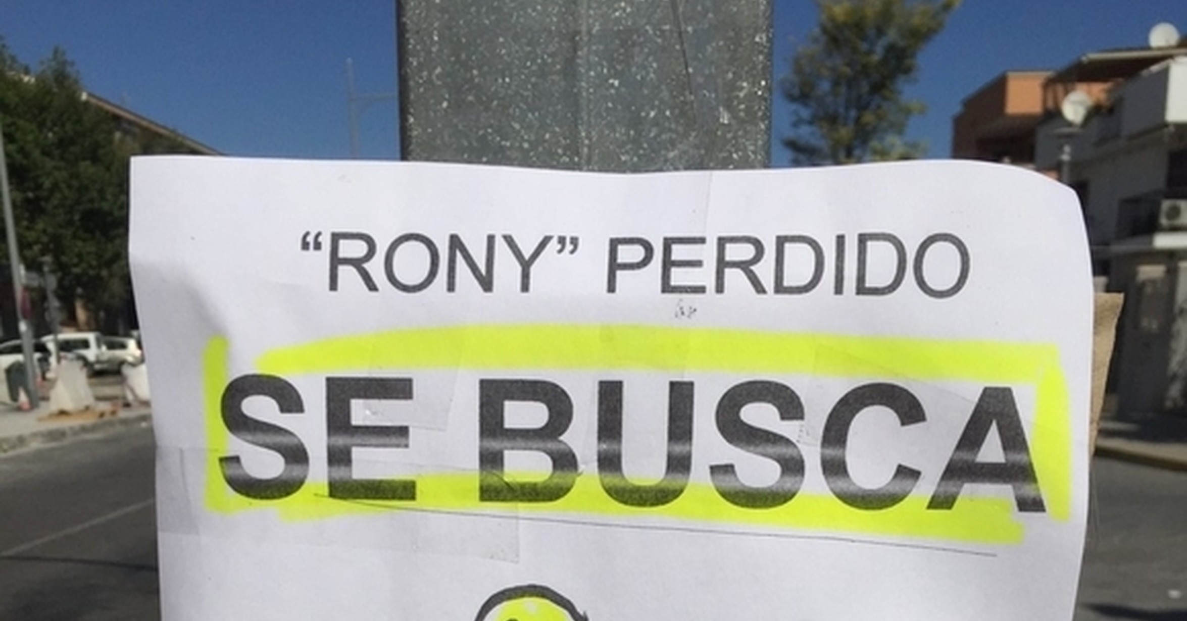 ¡Cuánta razón! / El cartel de se busca perro más absurdo de la historia ...