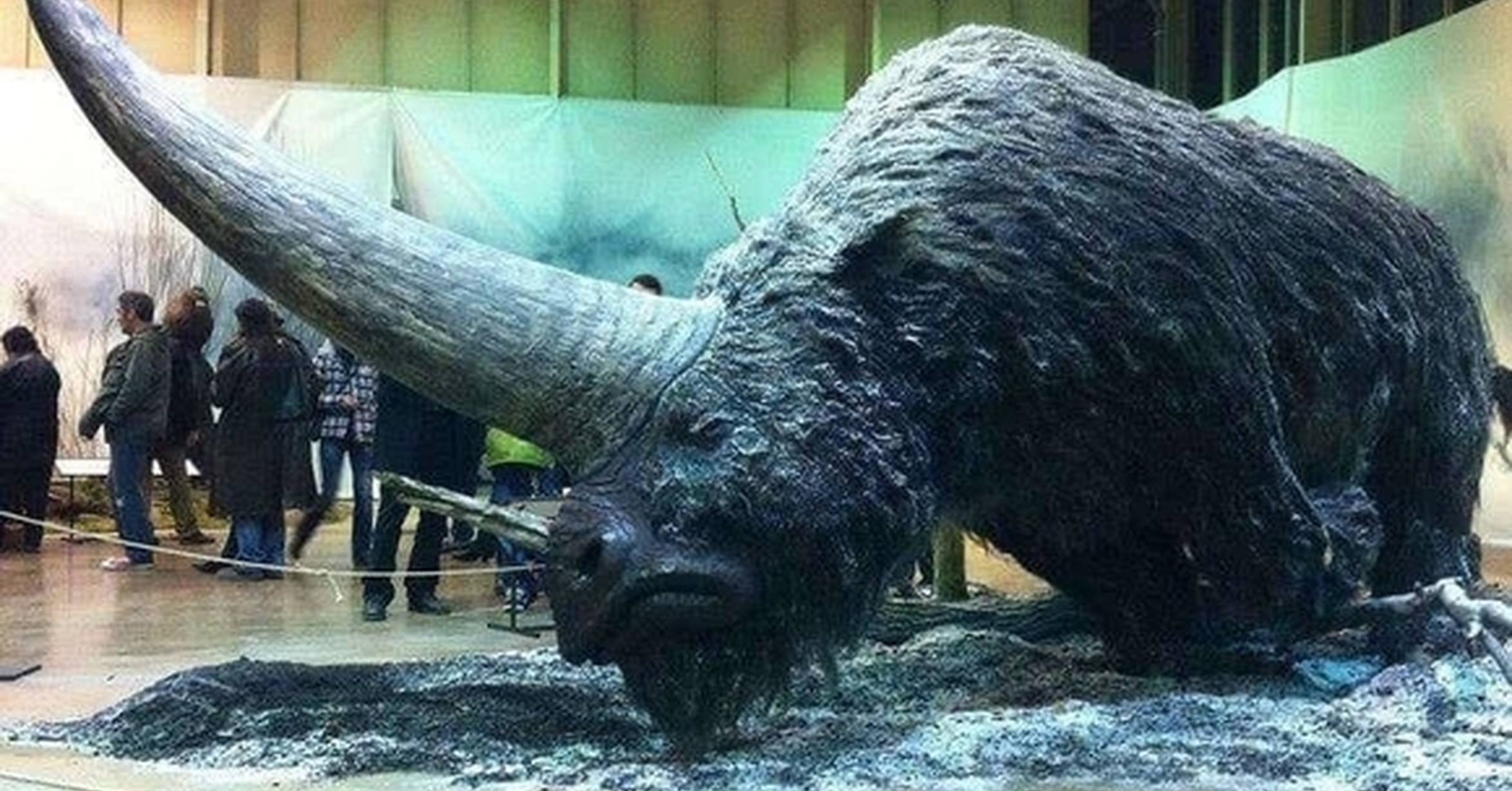 ¡Cuánta razón! / Conoce al elasmoterio o unicornio gigante