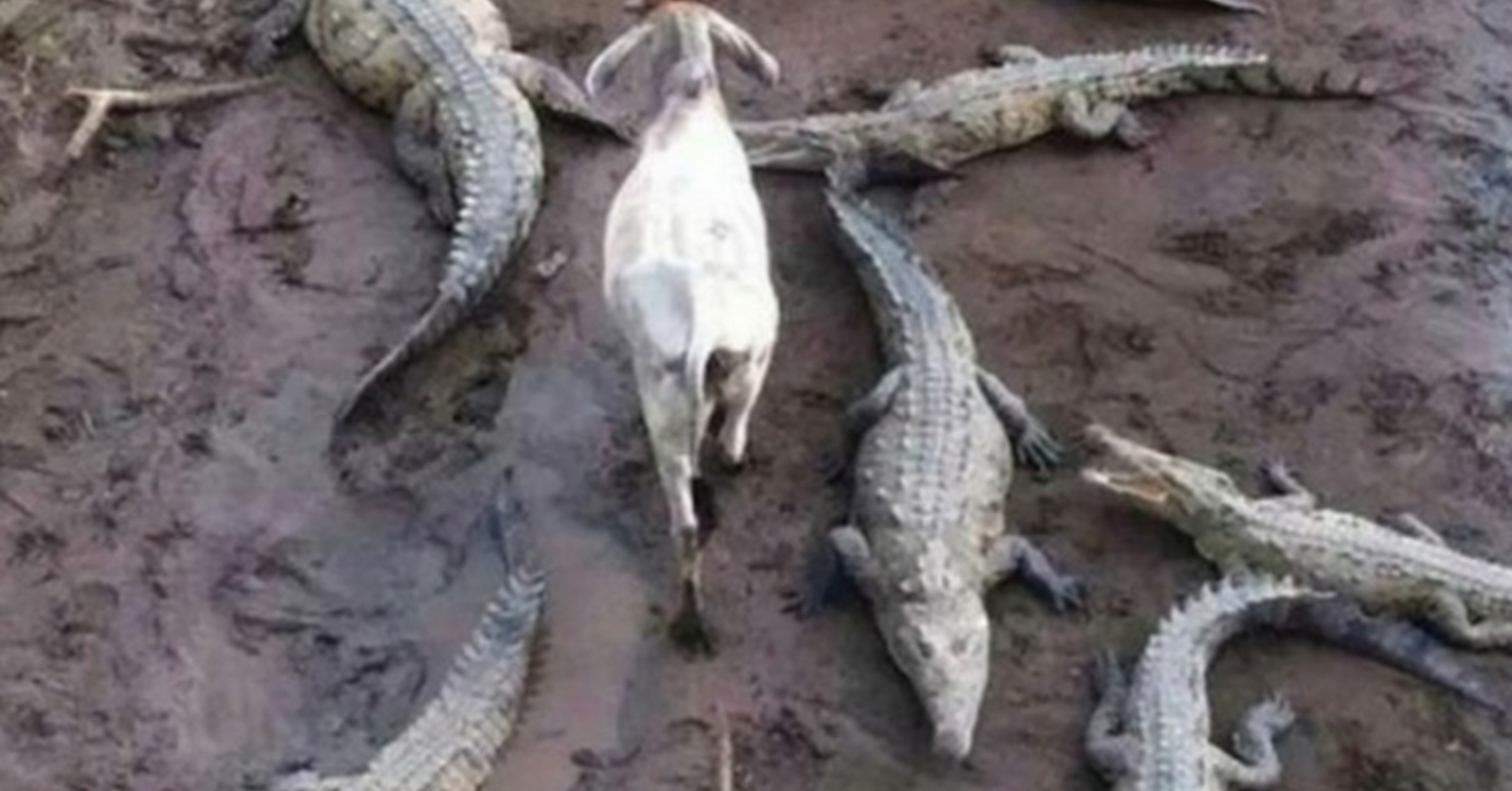 ¡Cuánta razón! / SIN PELIGRO