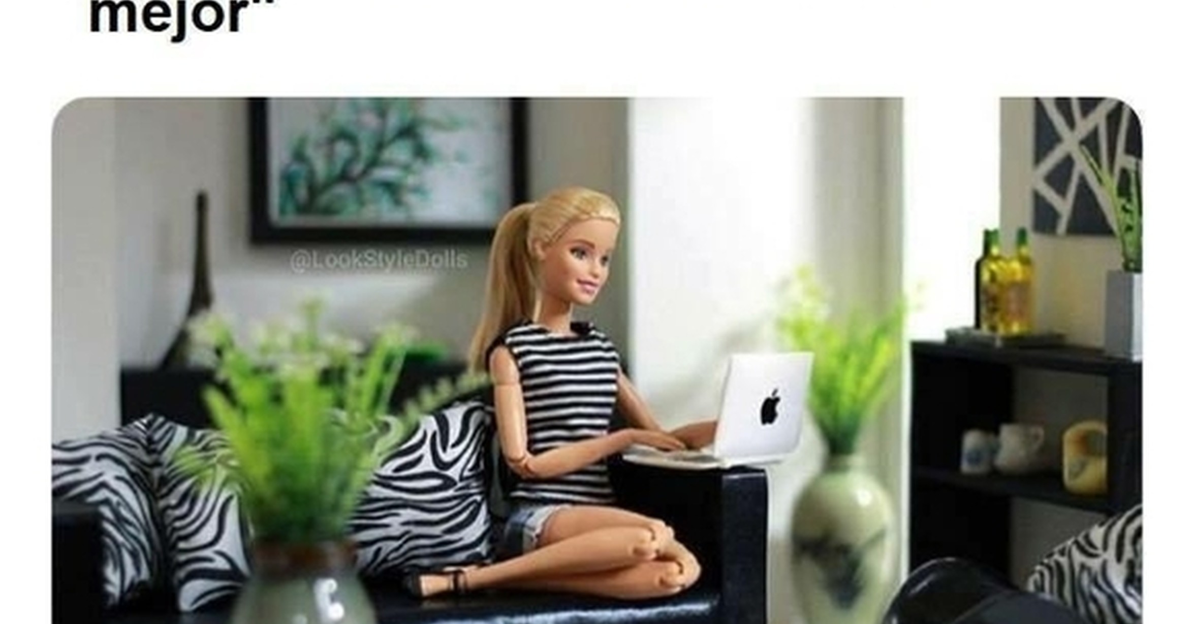 ¡Cuánta razón! / Opinión sesgada