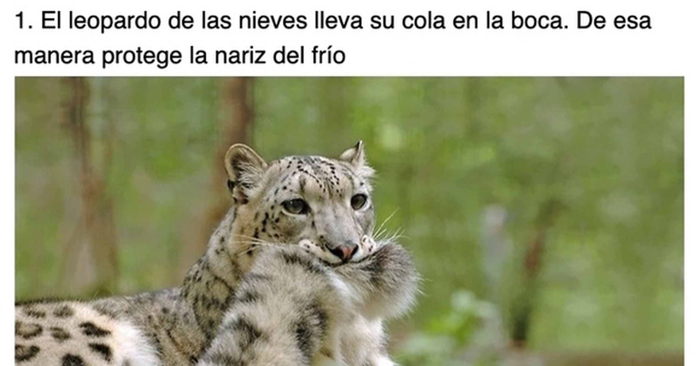 ¡Cuánta razón! / Hechos sobre la vida de los animales que probablemente ...