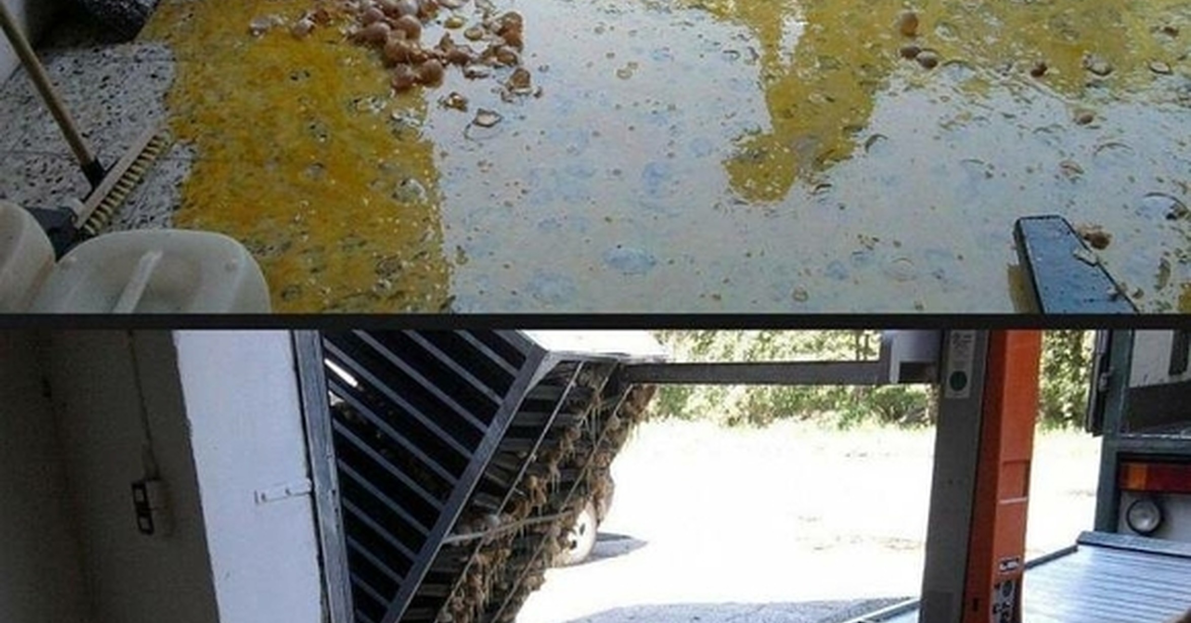 ¡Cuánta razón! / Liada