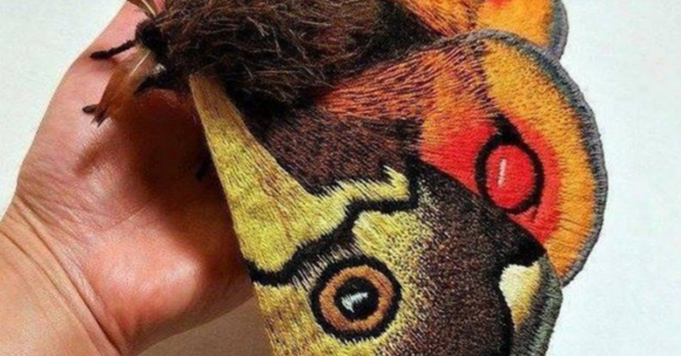 ¡Cuánta razón! / No lo sé Rick...