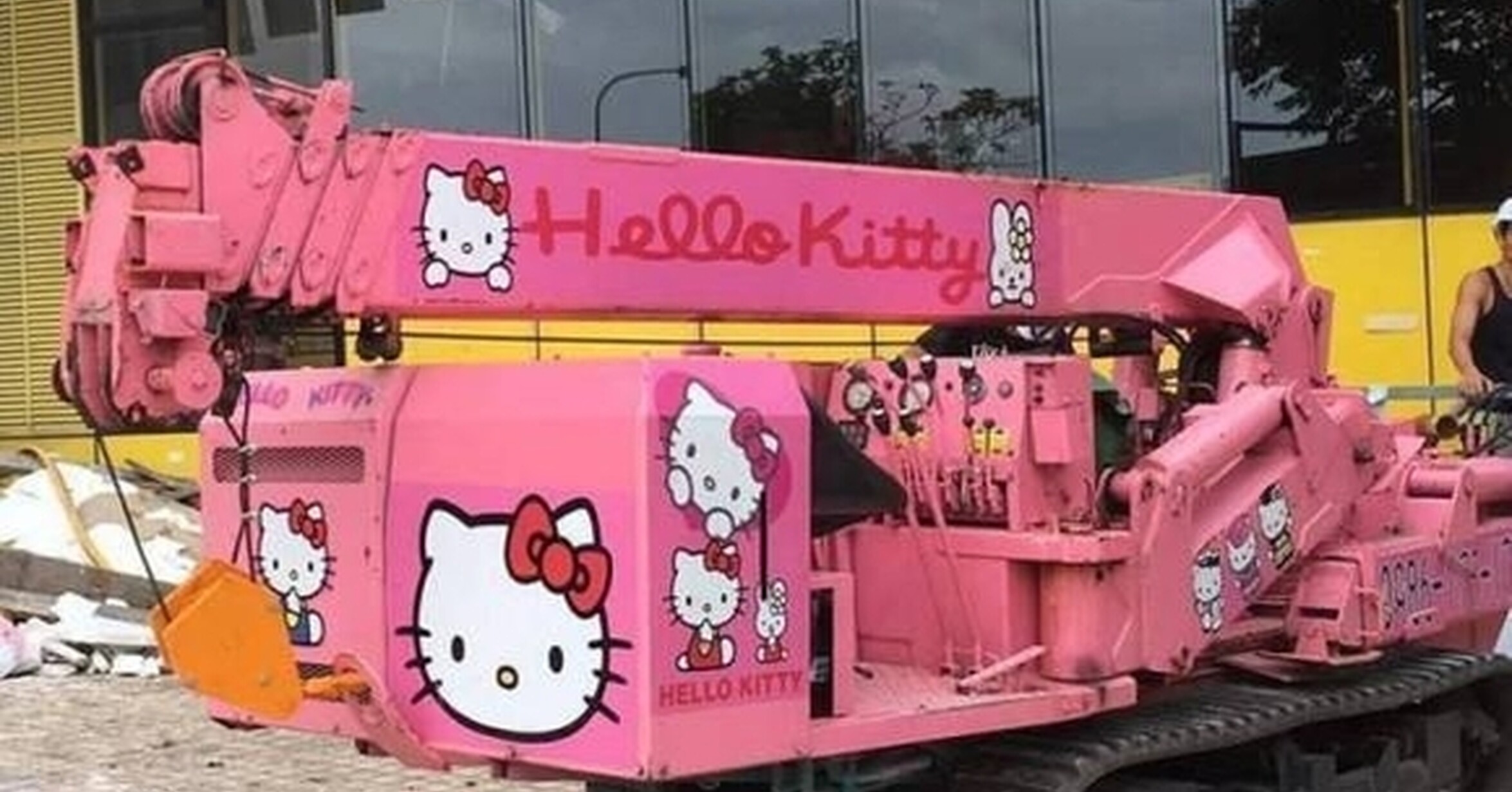 ¡Cuánta razón! / Kitty power