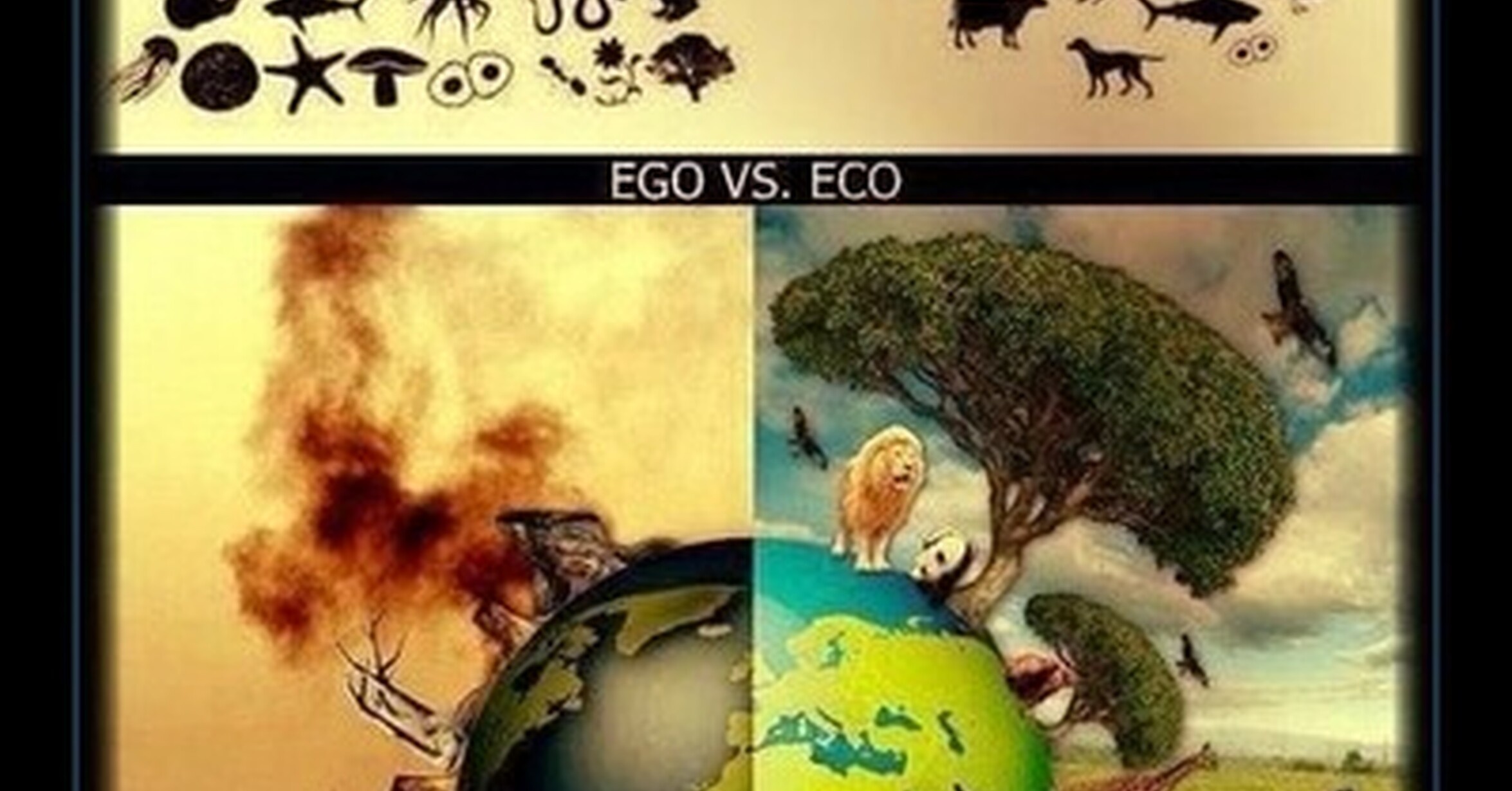 ¡Cuánta razón! / Ego VS Eco