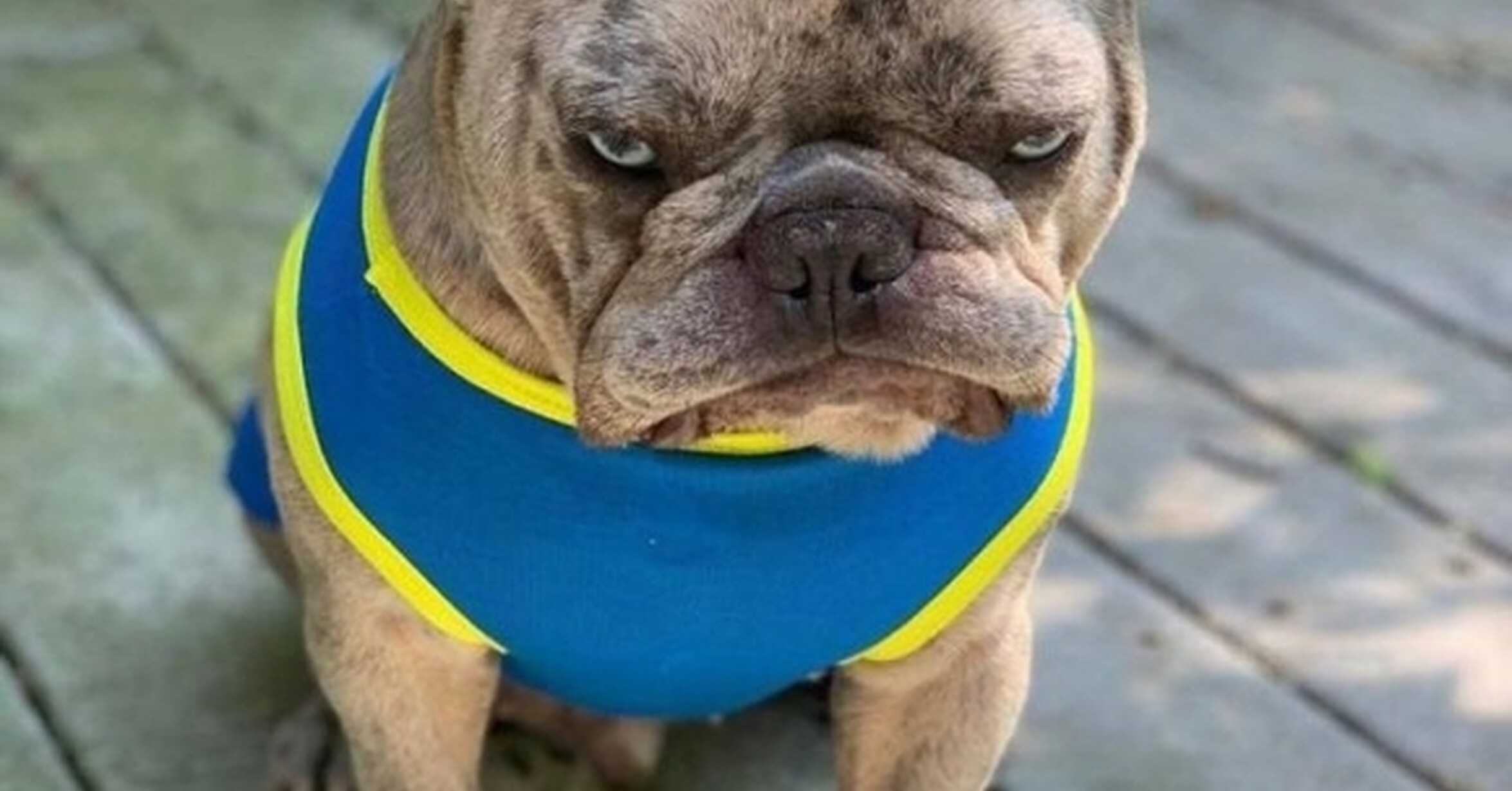 ¡Cuánta razón! / Estrenando chanclas