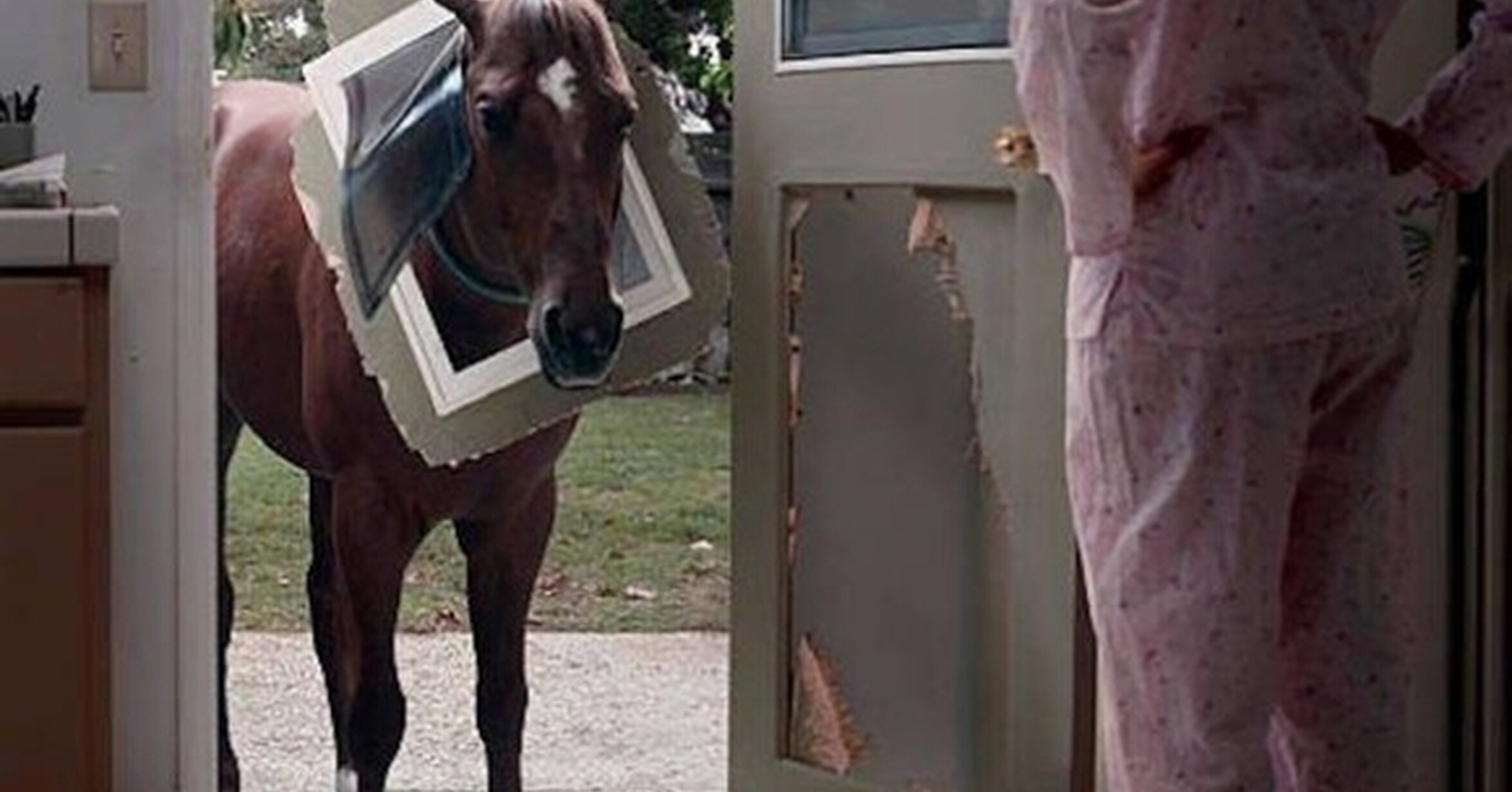 ¡Cuánta razón! / No te puedes enfadar con él