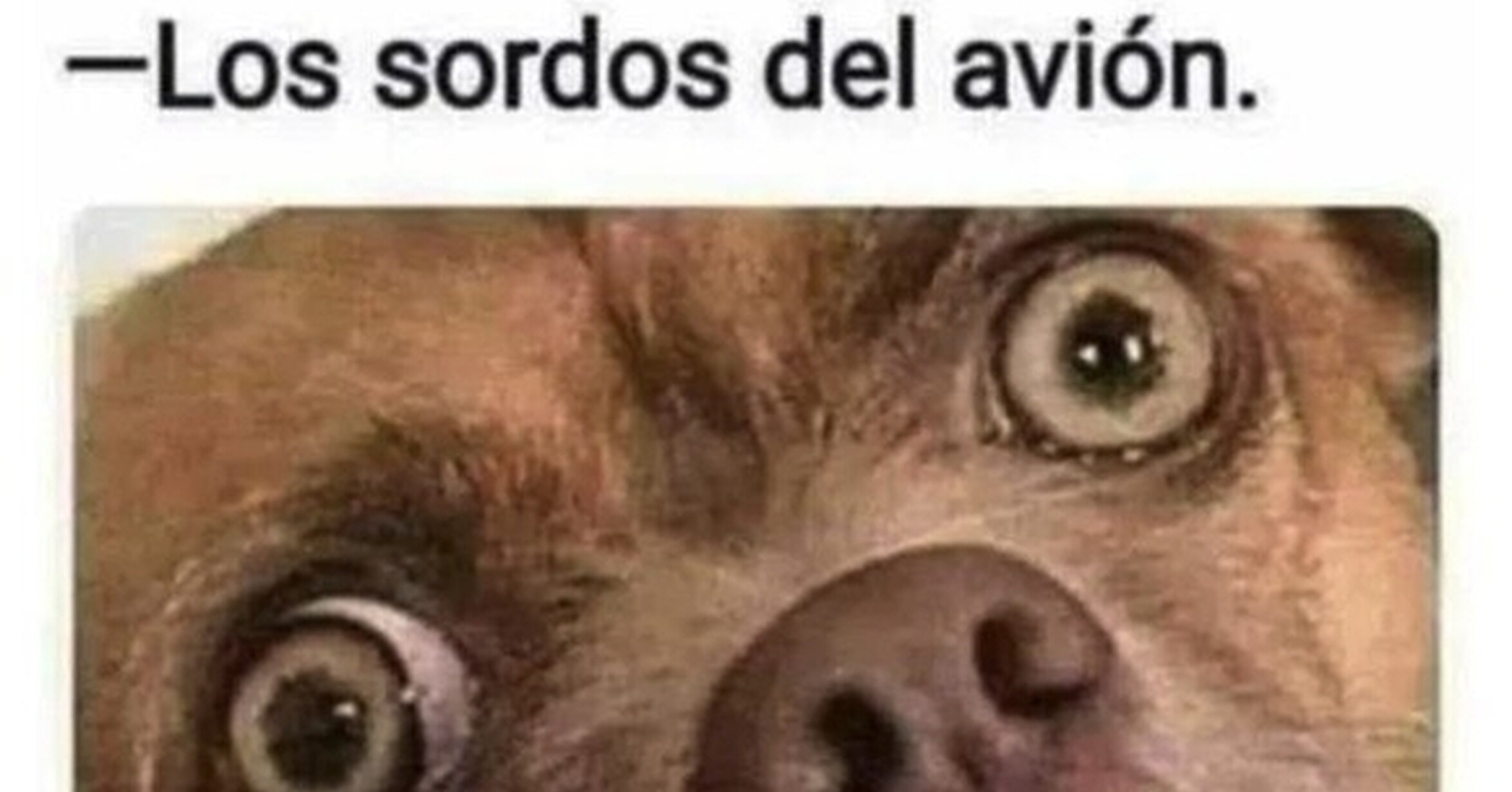 ¡Cuánta razón! / Momento tenso