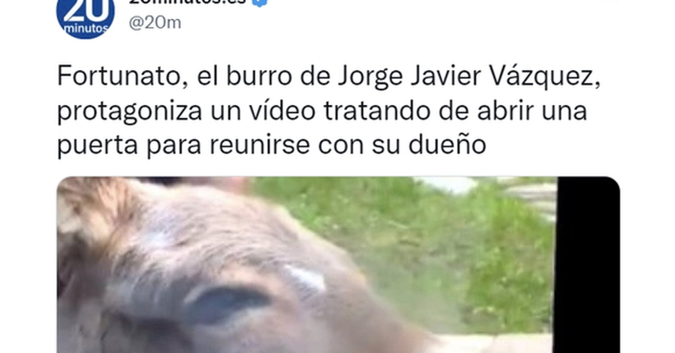 ¡Cuánta razón! / Un sello bien merecido