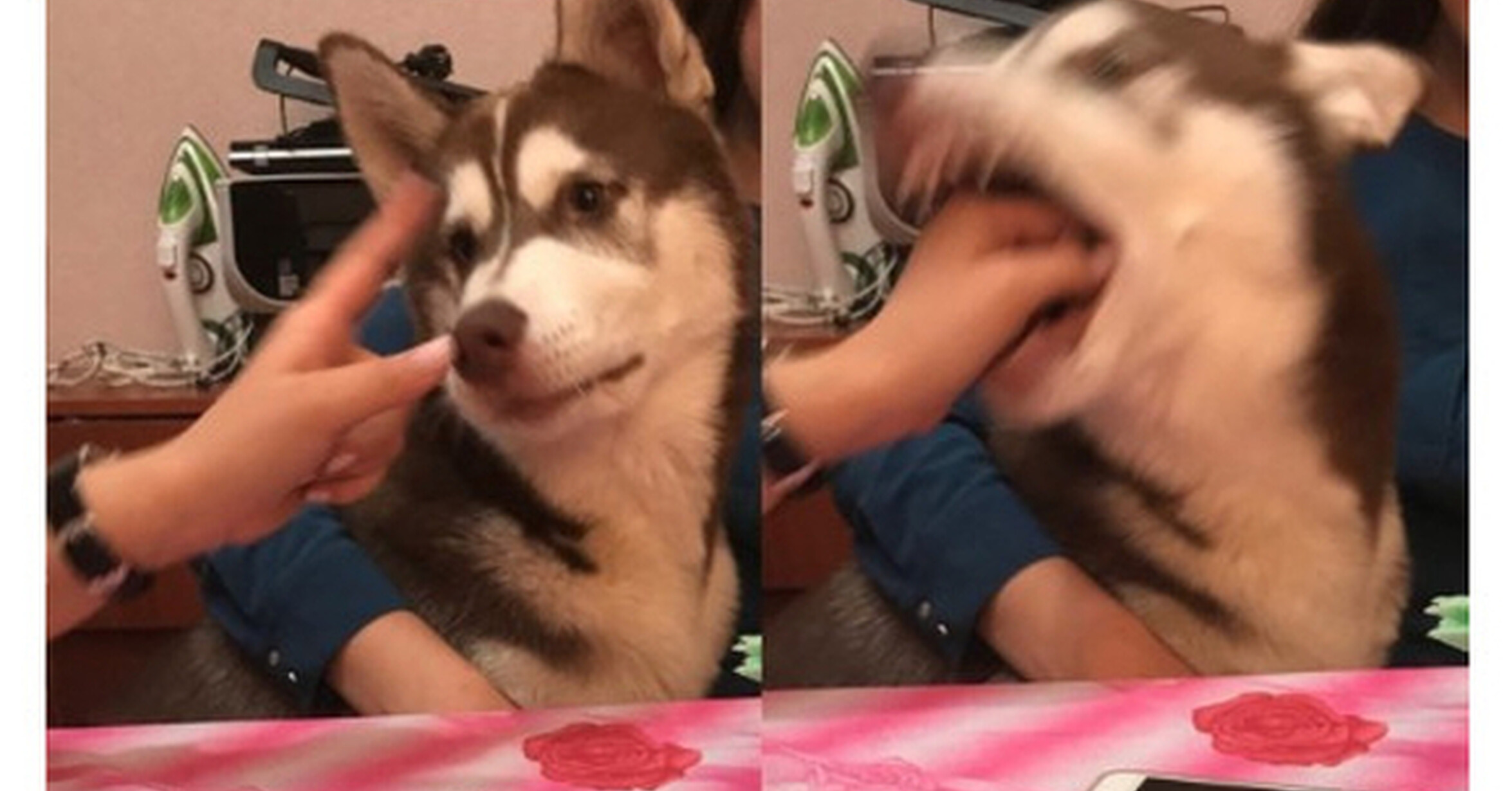 ¡Cuánta razón! / Personas que son la perfecta definición de tener un ...