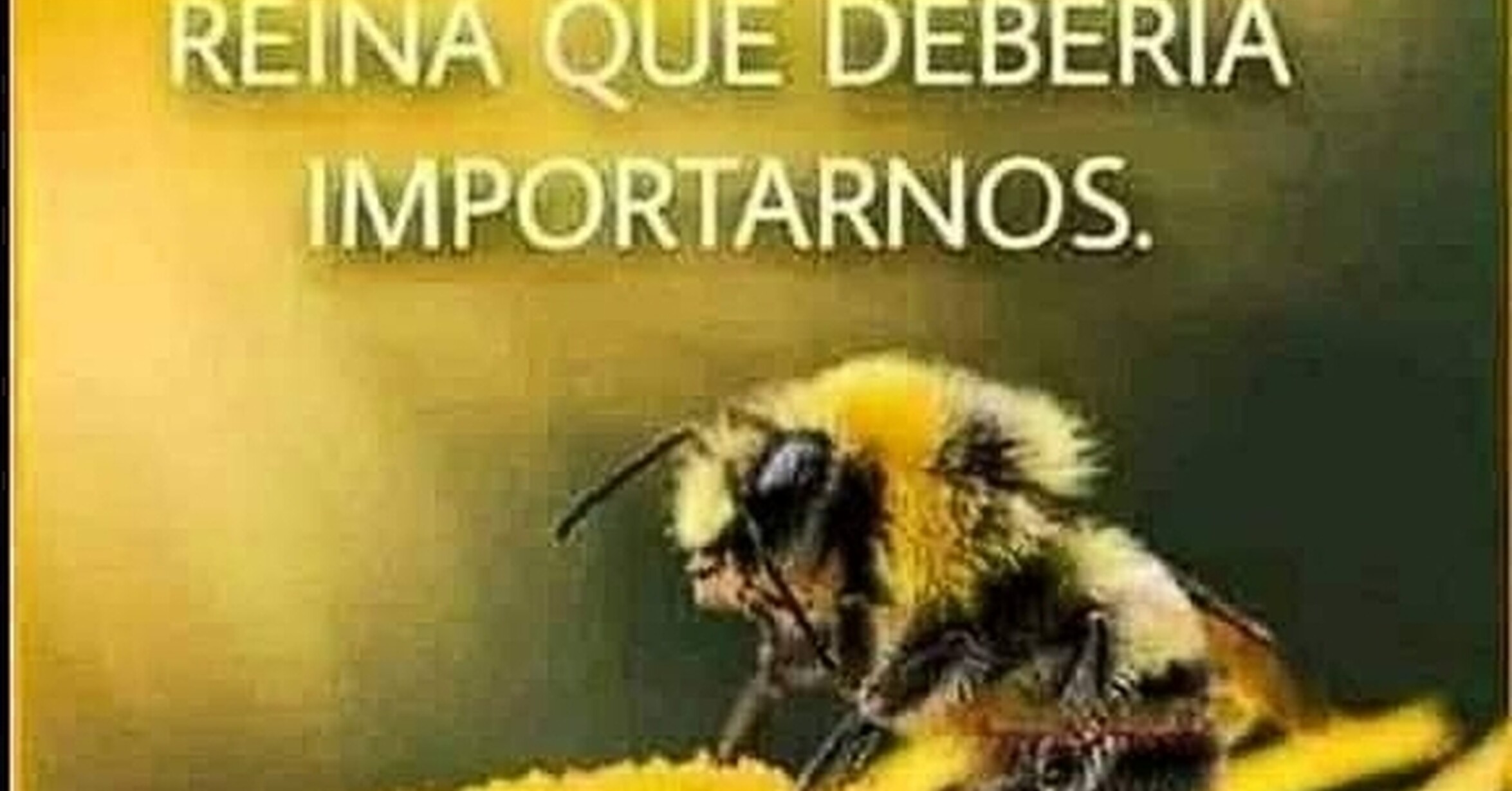 ¡Cuánta razón! / La reina más importante