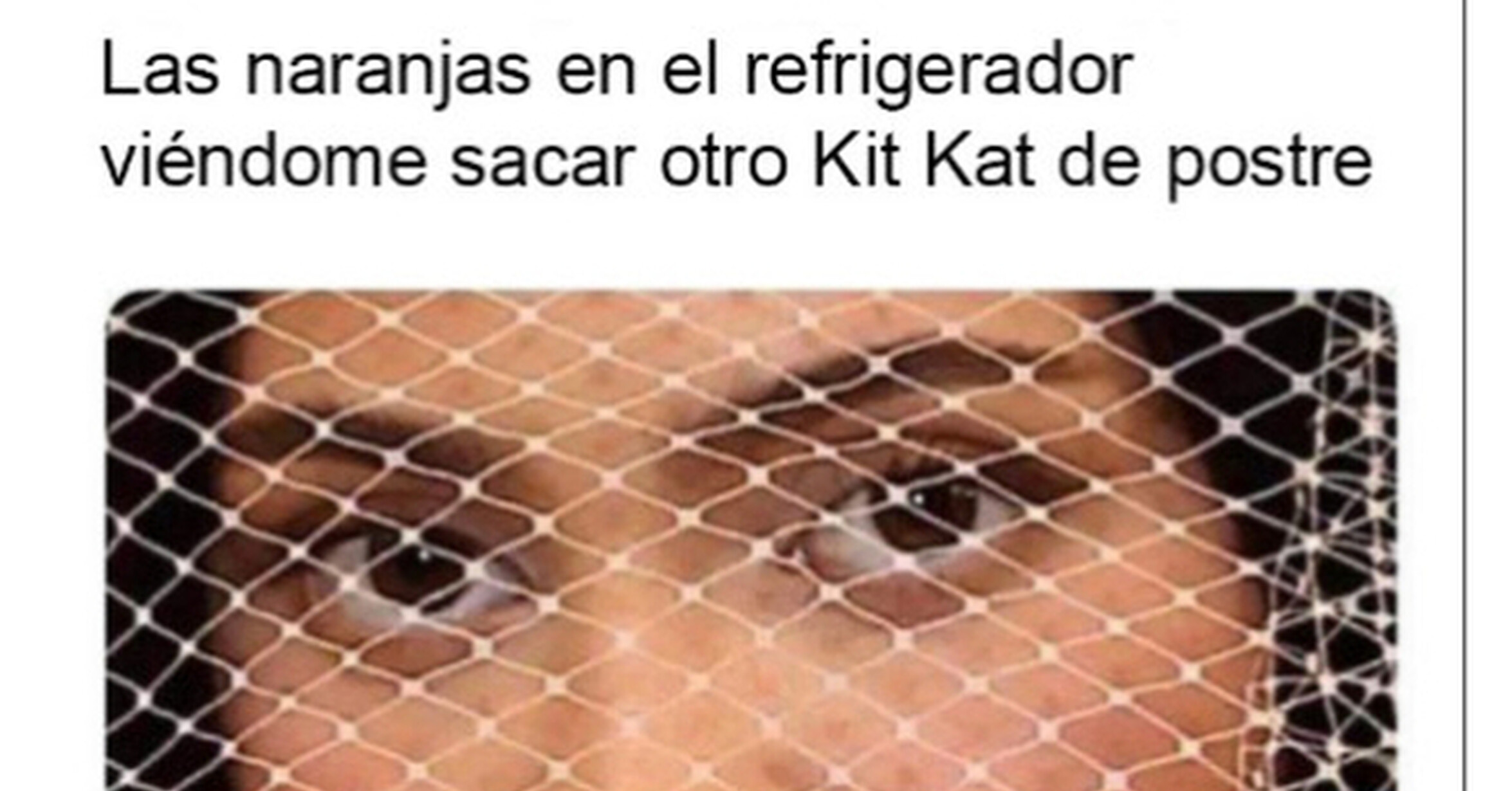 ¡Cuánta razón! / Memes que resultan más que familiares