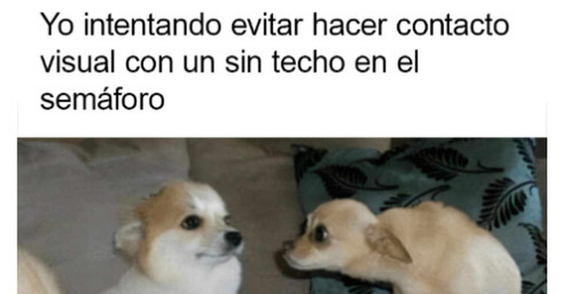 ¡Cuánta razón! / Memes con los que casi todos nos identificamos